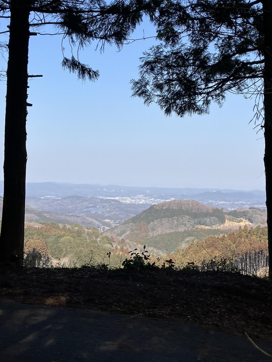 愛宕山・南山・表山・団子山・大福山・難台山・吾国山 / NOEさんの加波山・吾国山・難台山の活動日記 | YAMAP / ヤマップ