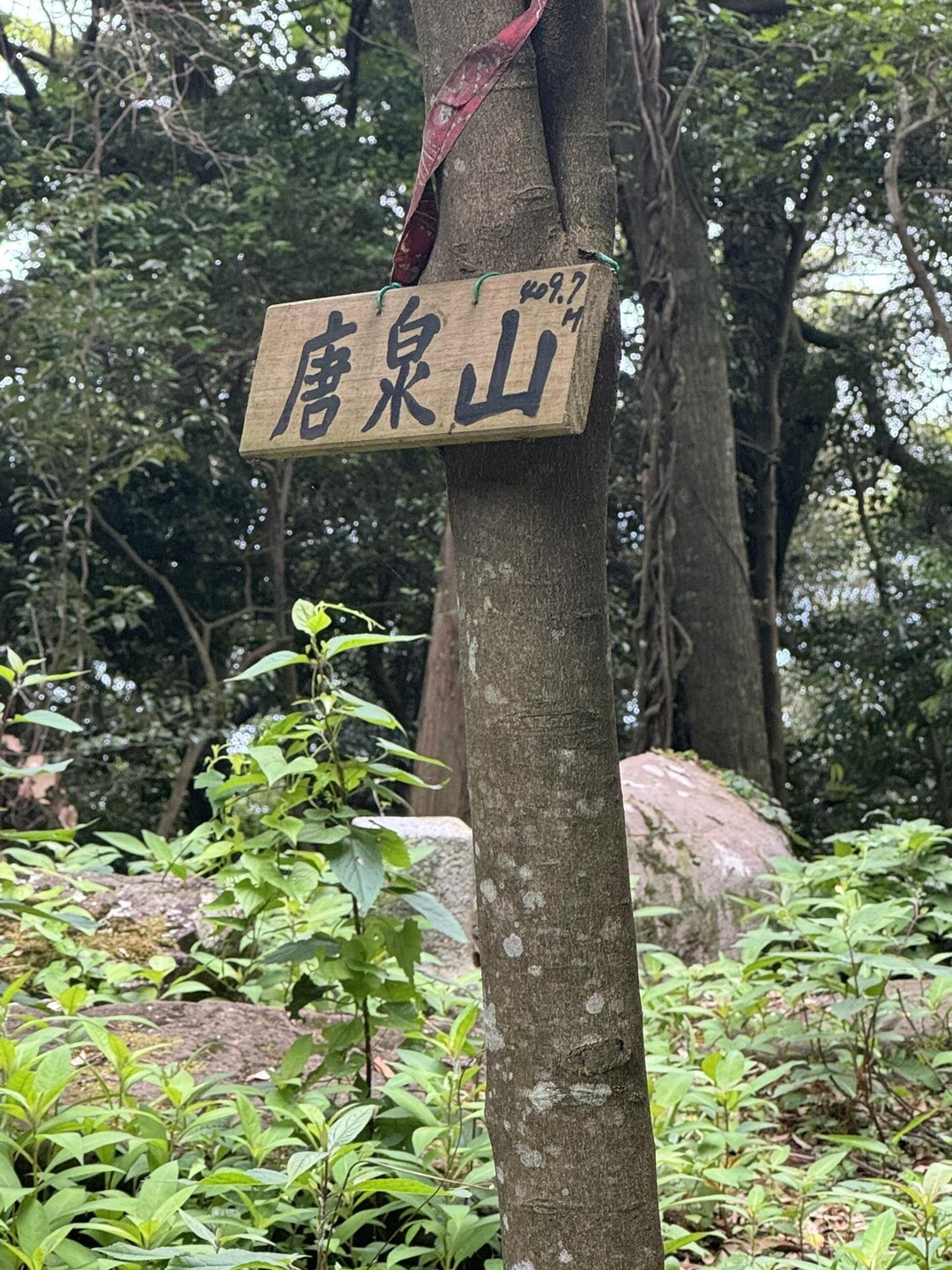 唐泉山 / Kannaさんの唐泉山の活動データ | YAMAP / ヤマップ