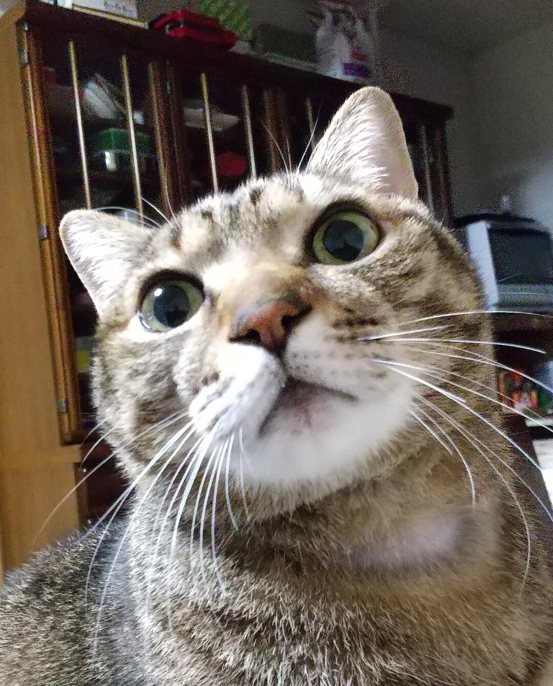 コテツ1113のページ | YAMAP / ヤマップ