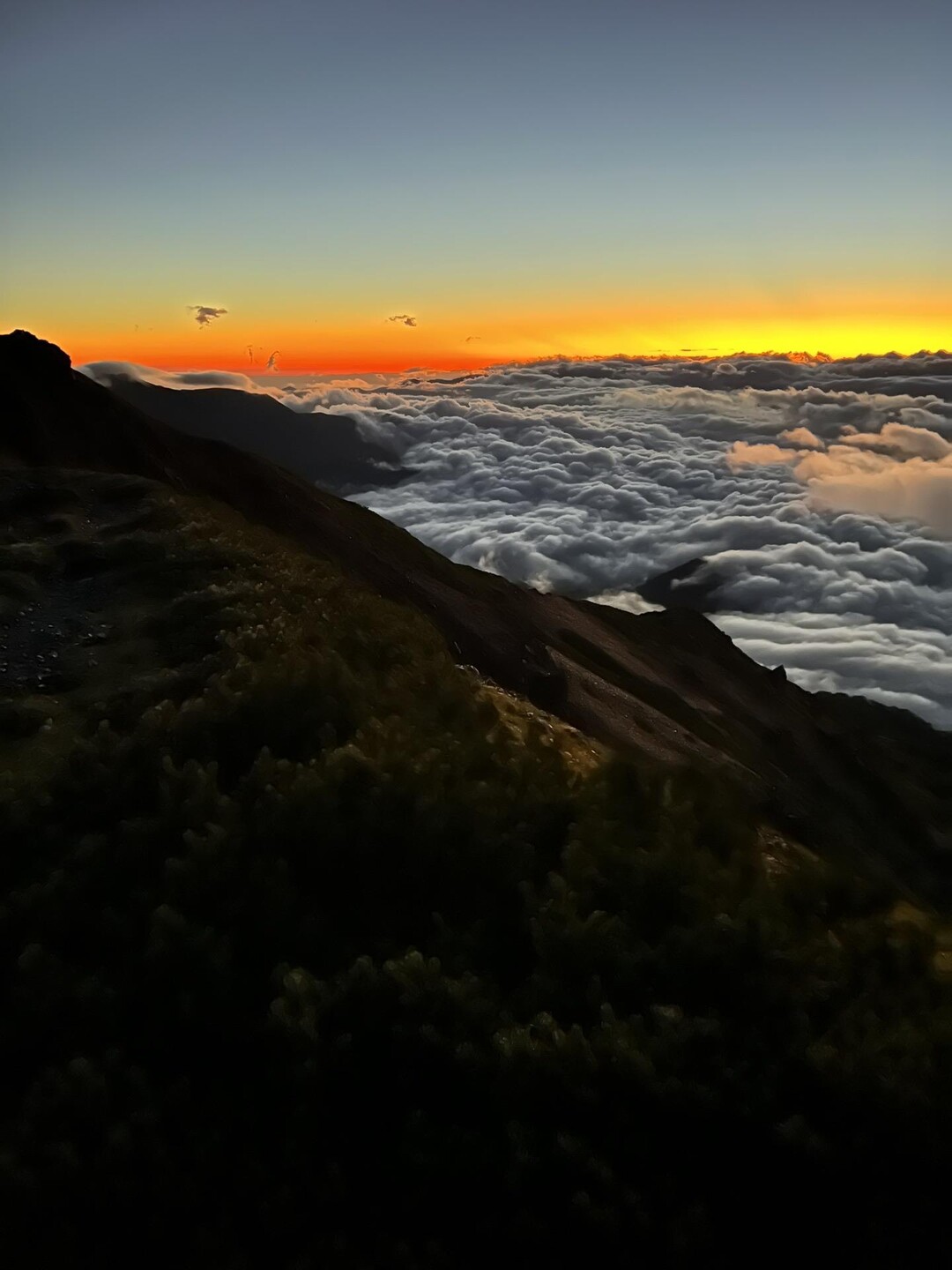 白馬鑓温泉⇨不帰嶮⇨唐松岳 *:..｡o ☼*ﾟ / eriさんの白馬岳・小蓮華山の活動データ | YAMAP / ヤマップ