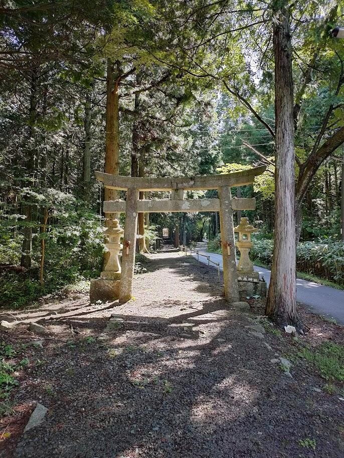 井水山・中央峰・泉山 / akgestさんの泉山・井水山・黒沢山の活動データ | YAMAP / ヤマップ