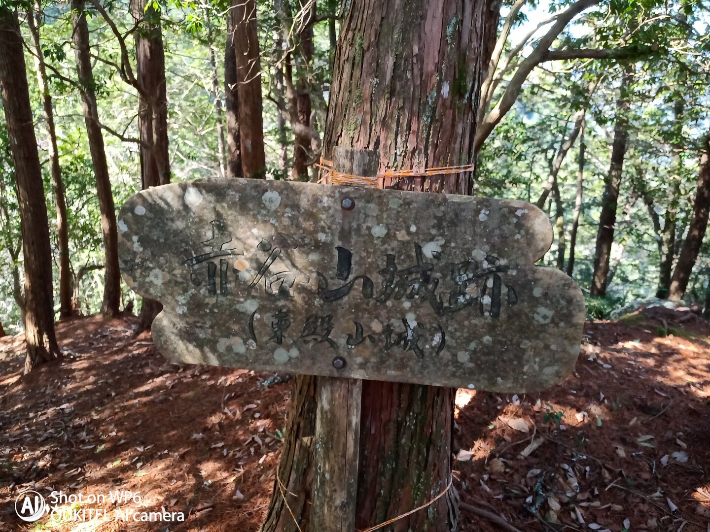 東殿山城址（赤谷山）-2021-03-24 / nono-chiさんの長良川（郡上八幡駅〜洲原橋）の活動データ | YAMAP / ヤマップ