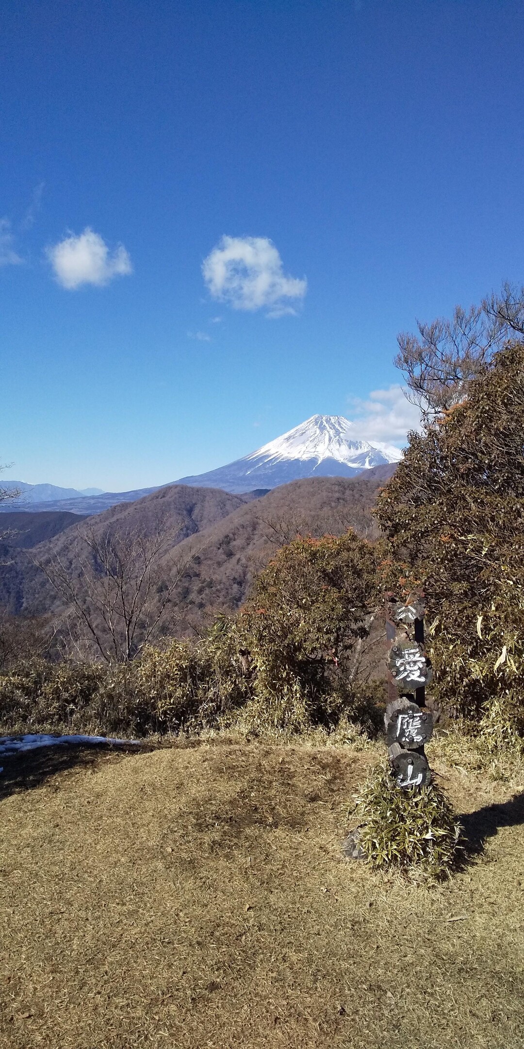 愛鷹山ー柳沢コース / kimichanさんの愛鷹山・大岳・黒岳の活動データ | YAMAP / ヤマップ