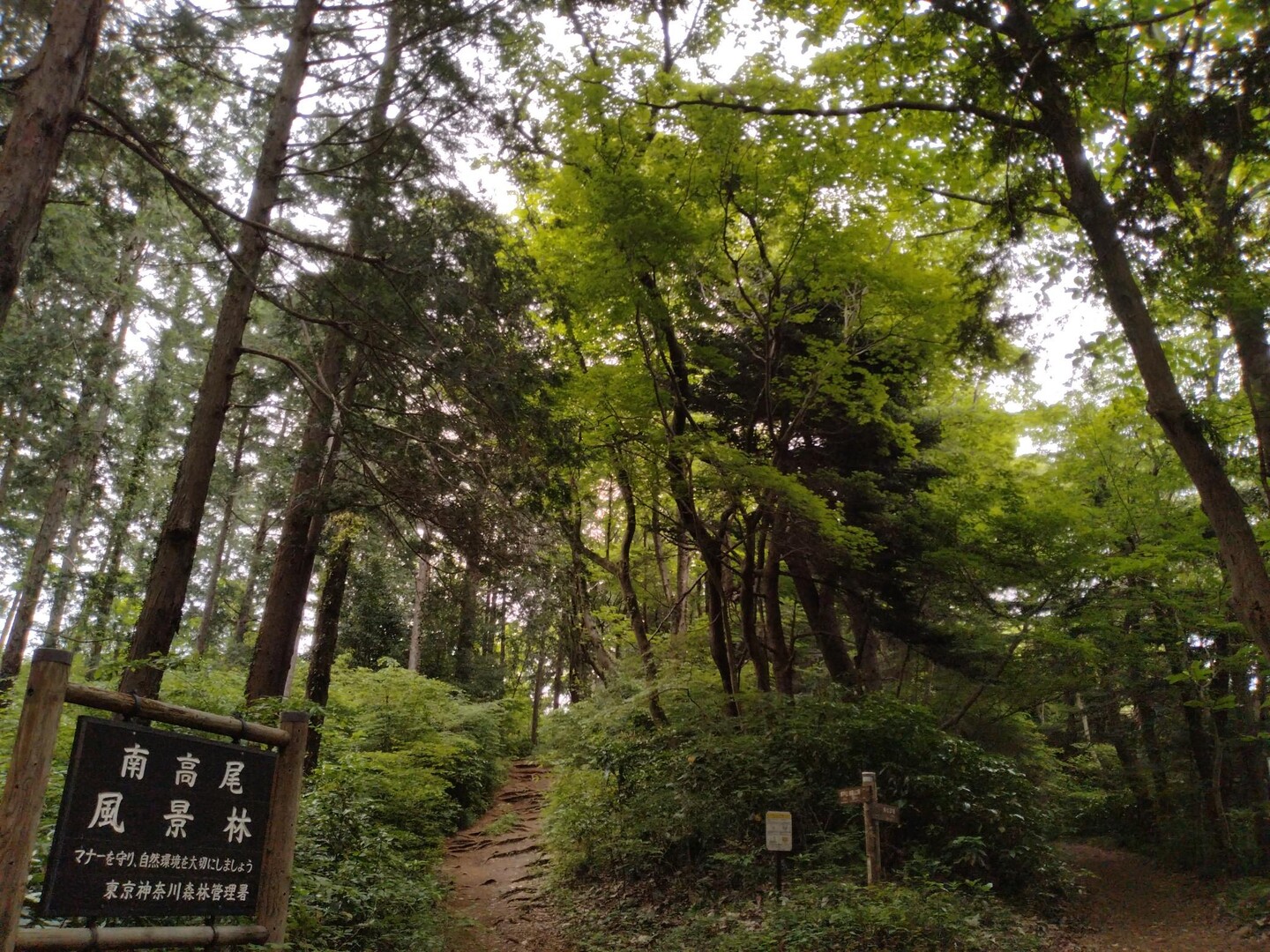 南高尾セブンサミッツ🌥️ / kzさんの高尾山・陣馬山・景信山の活動日記 | YAMAP / ヤマップ