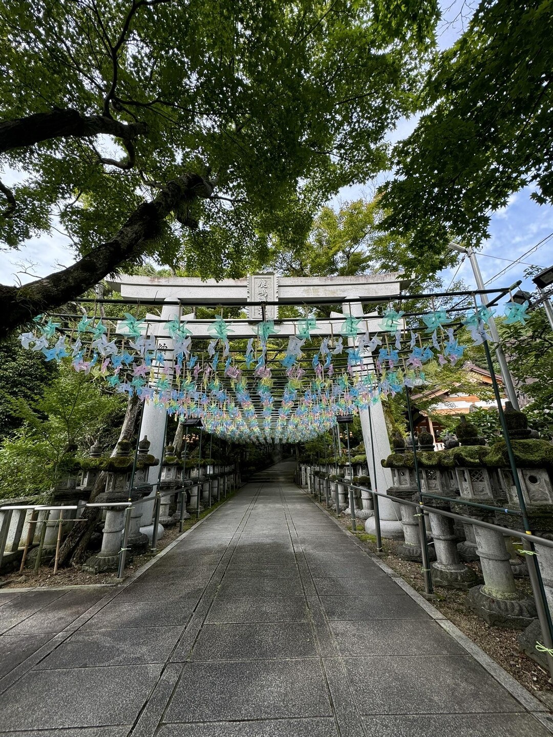 高御位山・長尾奥山・鷹ノ巣山・別所奥山 / r.kさんの高御位山・播磨アルプスの活動日記 | YAMAP / ヤマップ