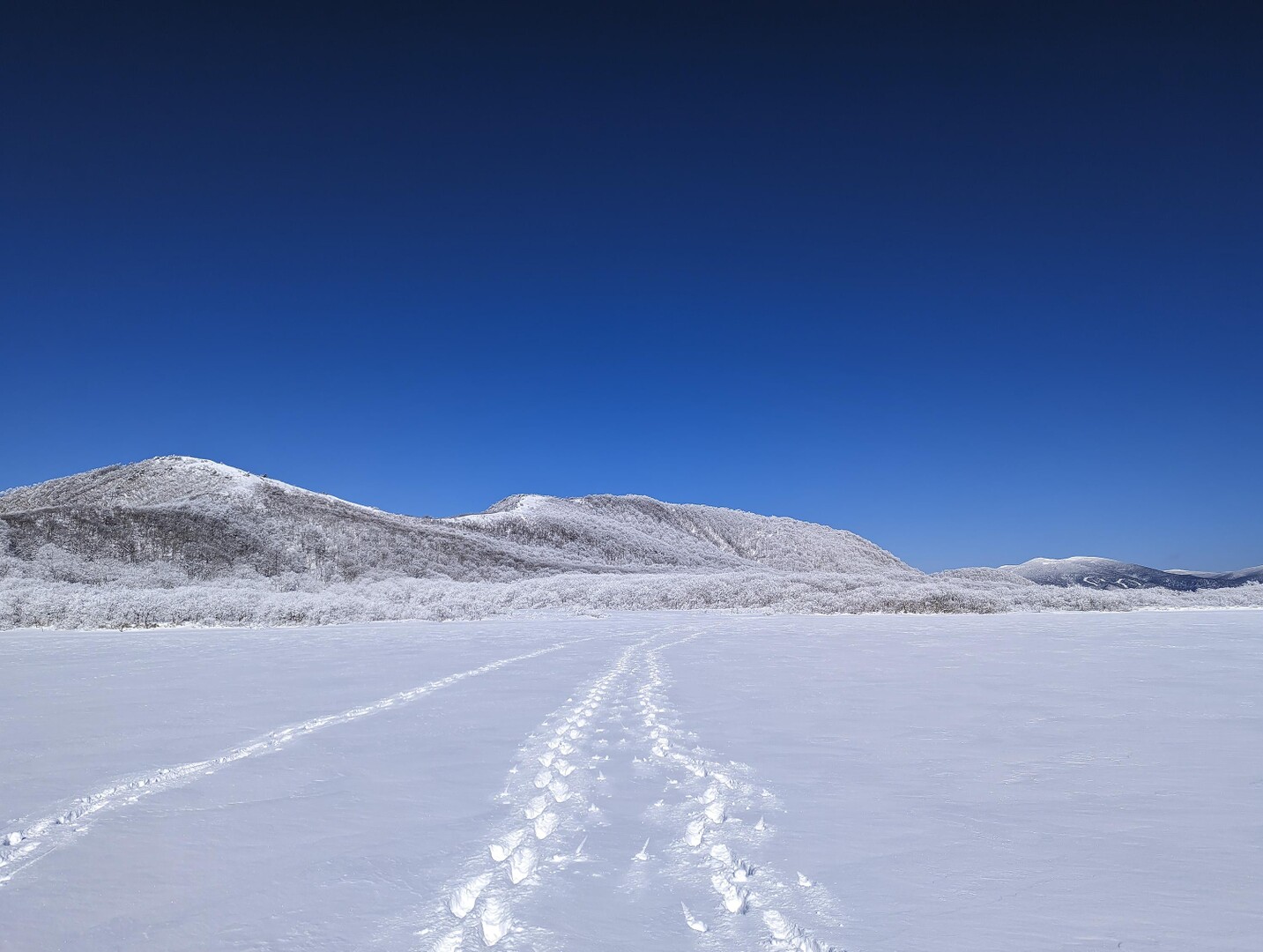 天気も場所も最高だった！ / AleXさんの磐梯山・雄国山・赤埴山の活動データ | YAMAP / ヤマップ