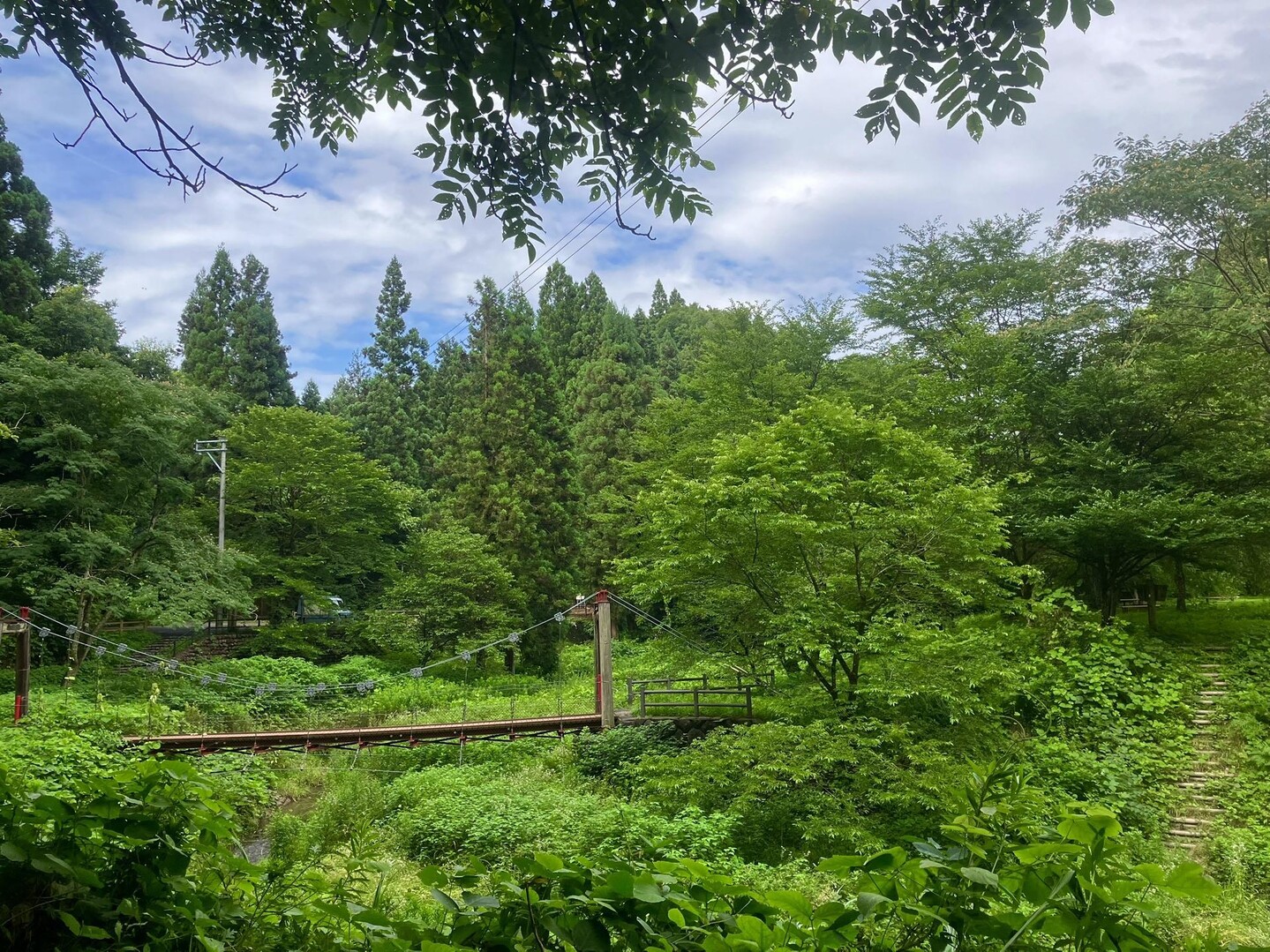 第121話・anytime LSD🏃‍♂️ ︎菩提寺山 / Naluさんの菩提寺山・高立山・護摩堂山の活動データ | YAMAP / ヤマップ