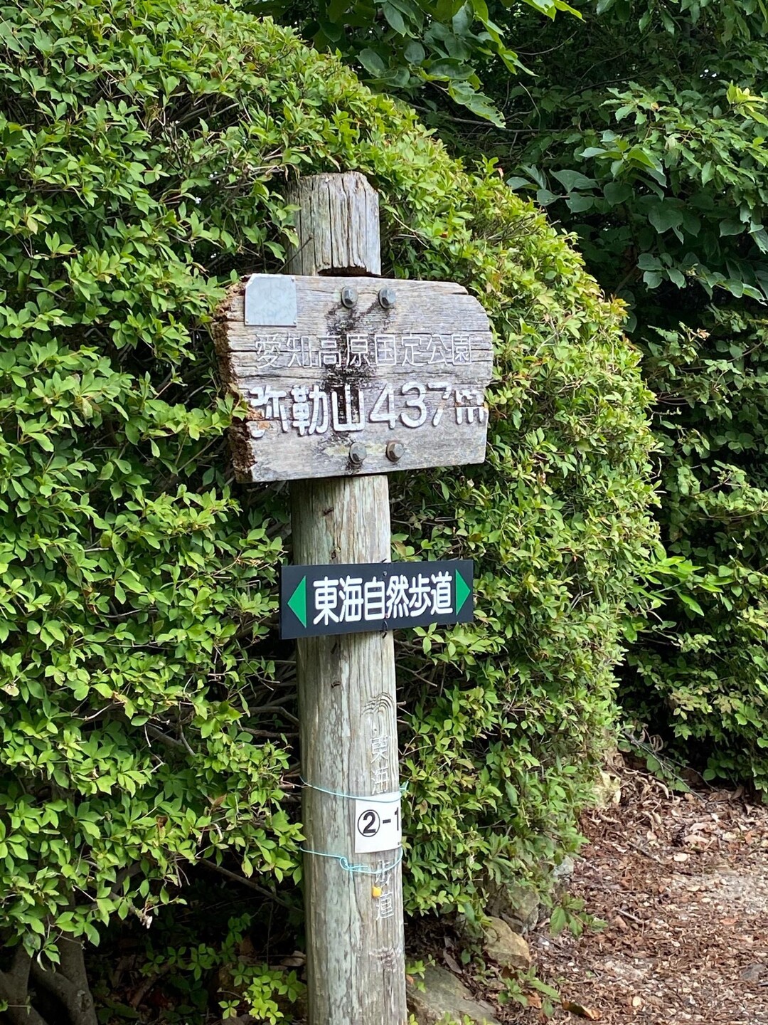 大谷山・道樹山・弥勒山 / ひつじ🐑さんの春日井三山・弥勒山・大谷山・道樹山の活動データ | YAMAP / ヤマップ