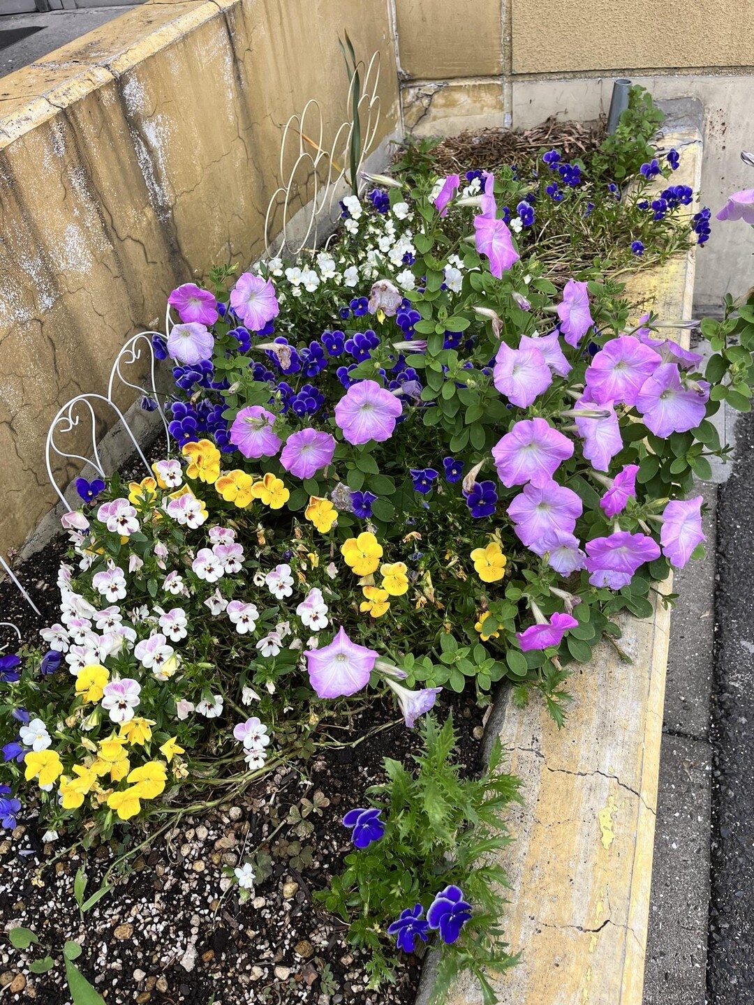 ふと目👀に触れた何気ない仕事場👷‍♂... / YOTAさんのモーメント | YAMAP / ヤマップ