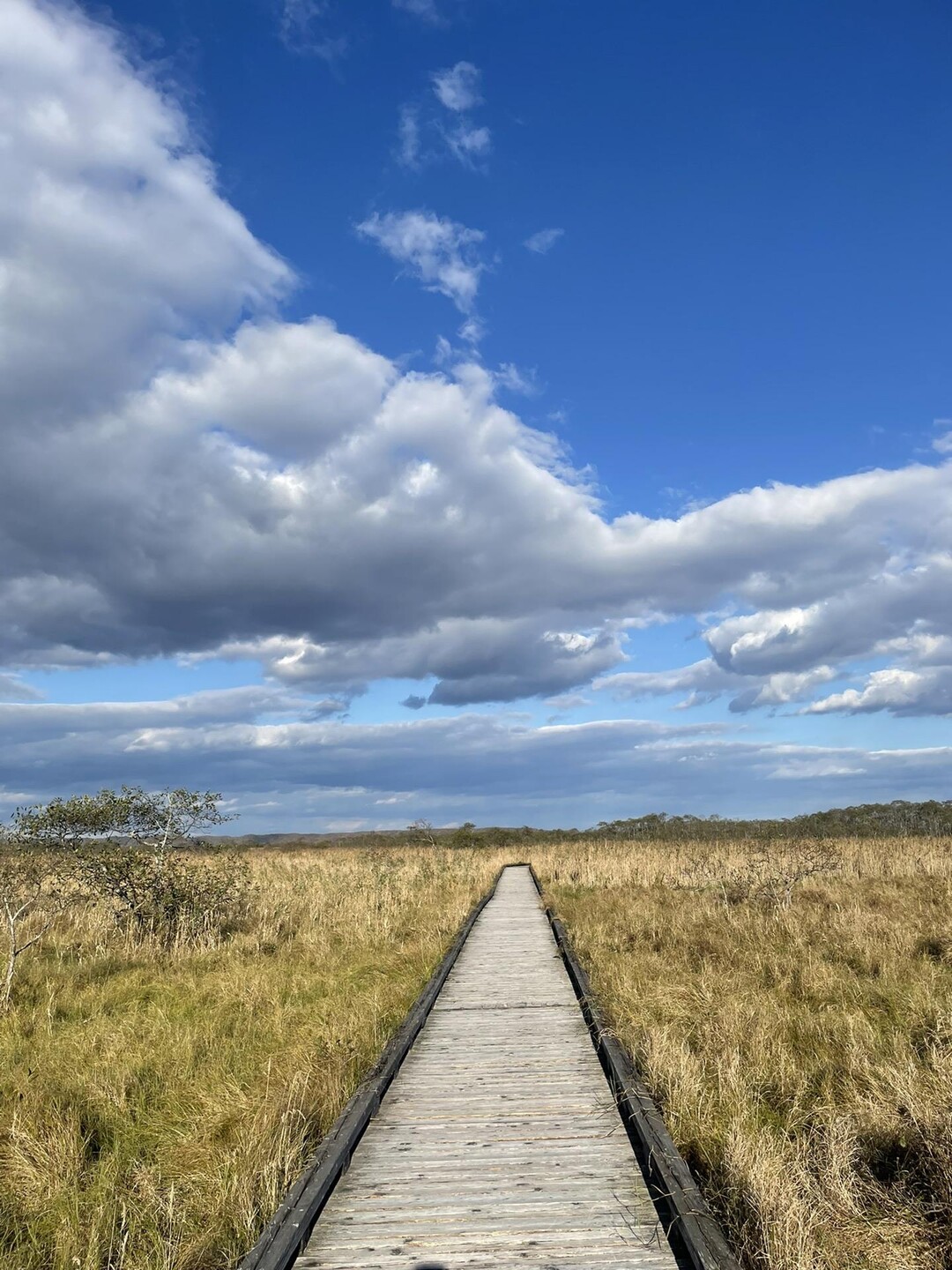 2022.10.19(水) 08:50 / ぶるさんのモーメント | YAMAP / ヤマップ