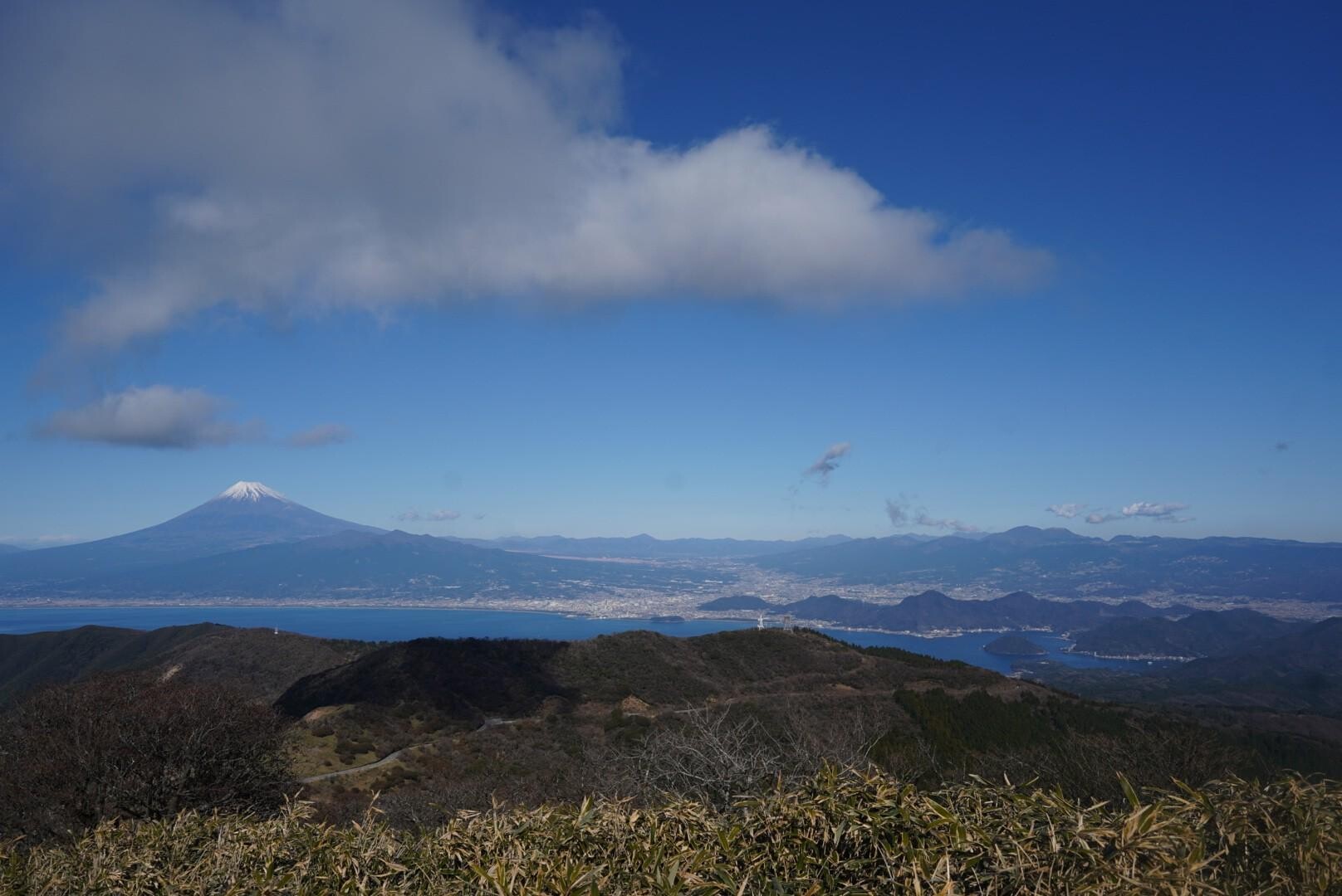 達磨山 / kuu-nyanさんの天城山・鉢ノ山・三筋山の活動データ | YAMAP / ヤマップ