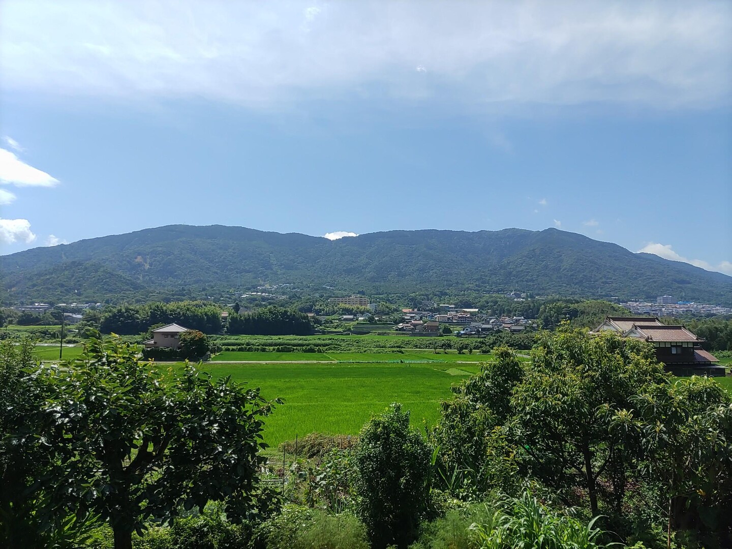 ⛅夏こそ氷池🧊 野呂山～弘法寺山 呉市-2023-7-11 / Ponさんの野呂山・膳棚山の活動データ | YAMAP / ヤマップ