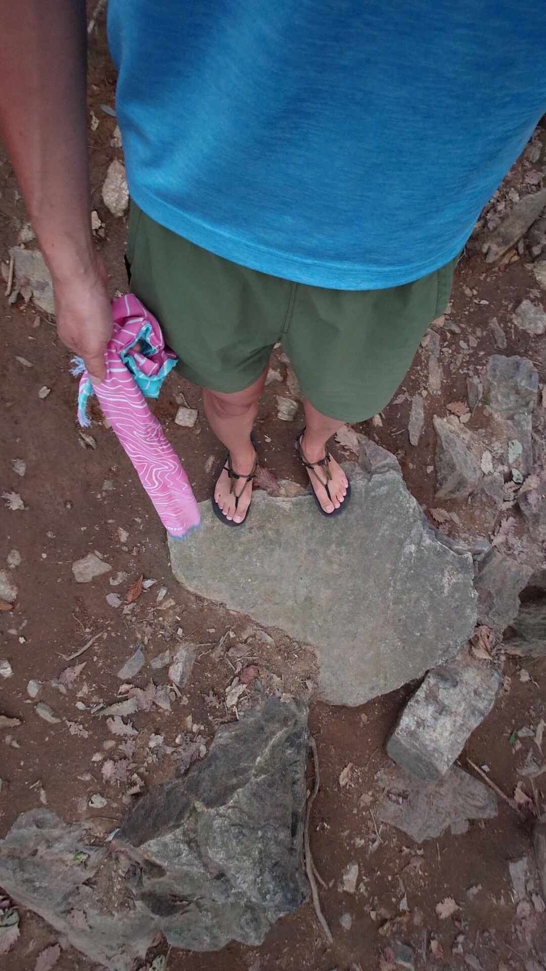 蒸し暑い朝 28分登頂 / ta2さんの鳴神山・吾妻山の活動データ | YAMAP / ヤマップ