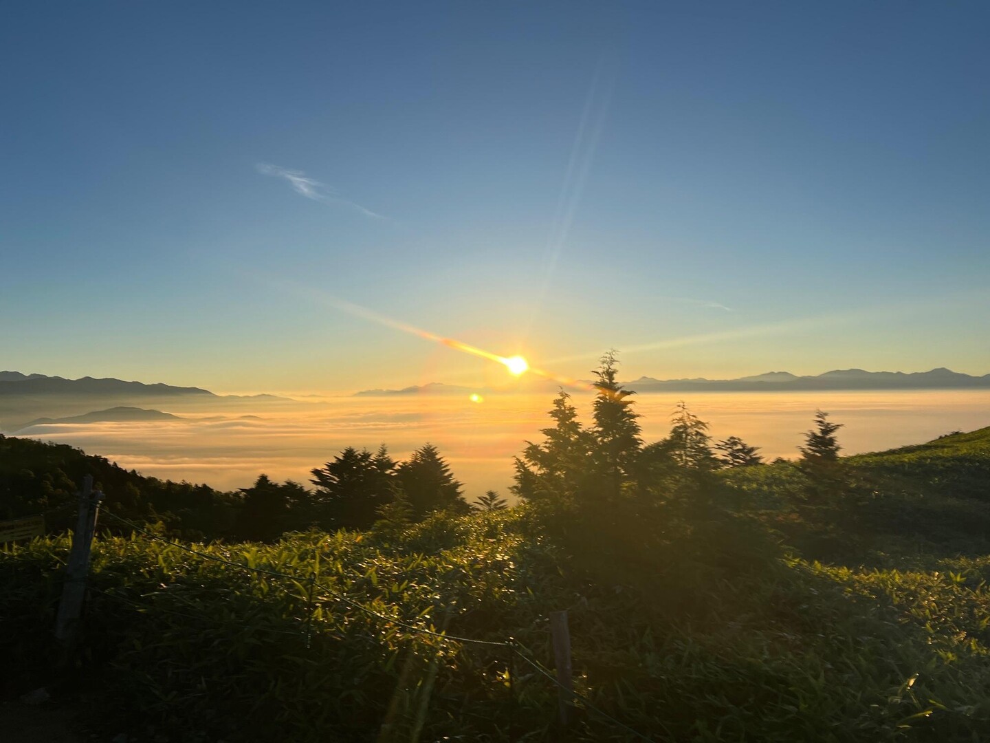 富士見台2日目 / jun-sさんの恵那山・大判山・神坂山の活動データ | YAMAP / ヤマップ