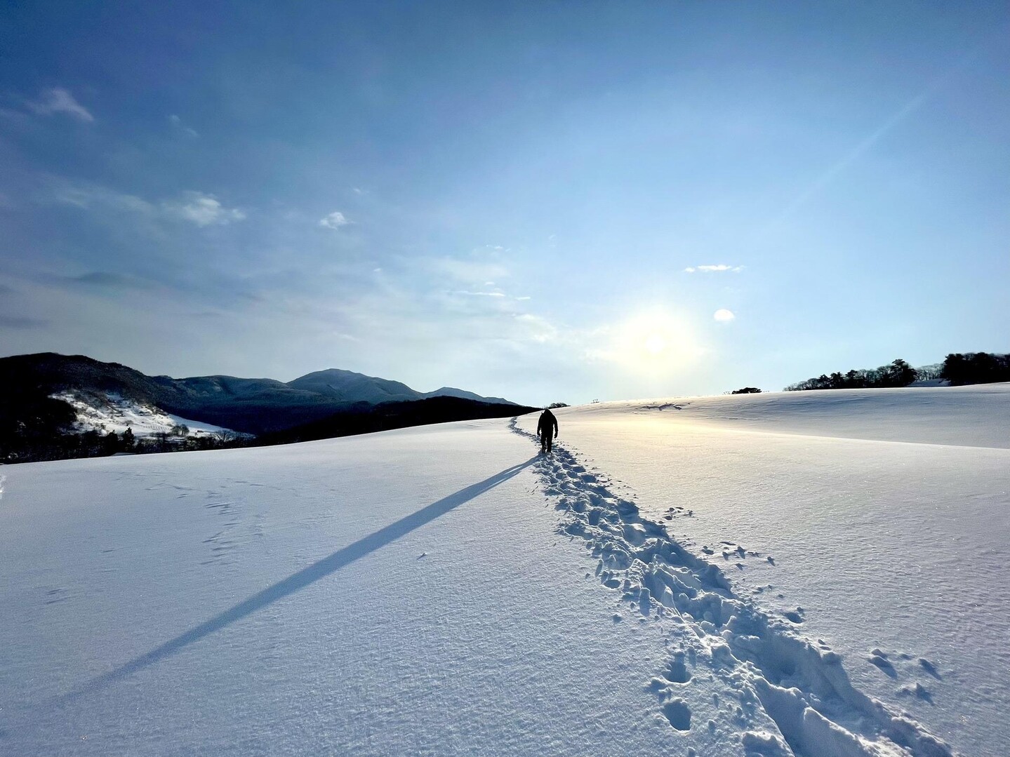 三沢山・面白山 / おこたんぺこさんの面白山・神室岳・大東岳・雨呼山の活動データ | YAMAP / ヤマップ
