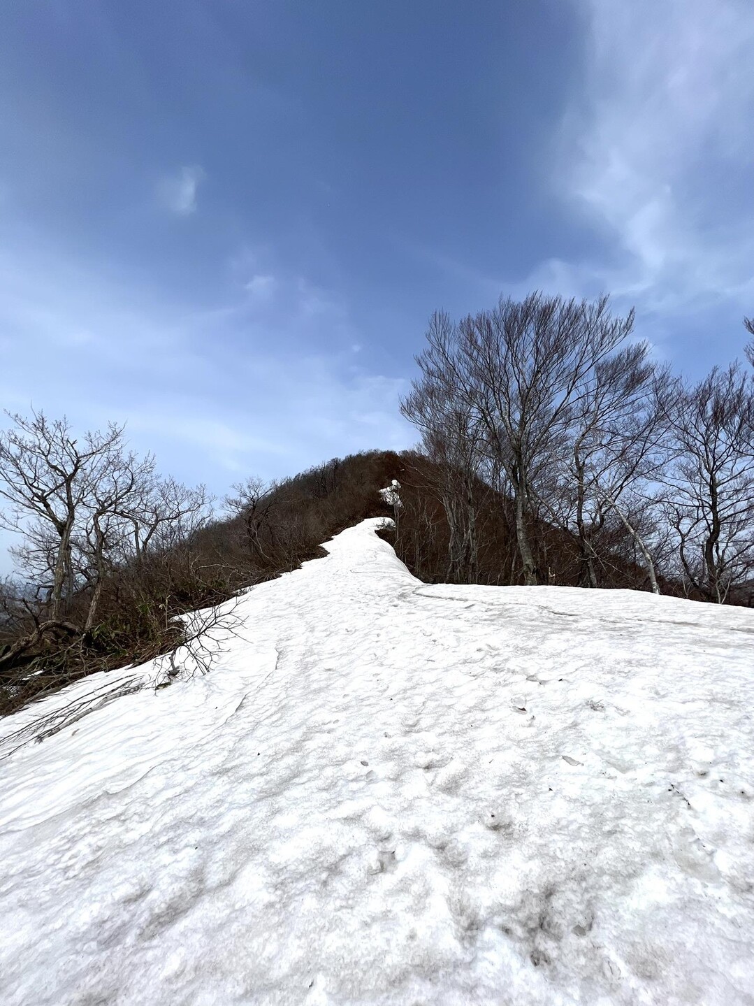 残雪の稜線🤩甑岳🏔 / Muraさんの甑岳・楯山の活動データ | YAMAP / ヤマップ