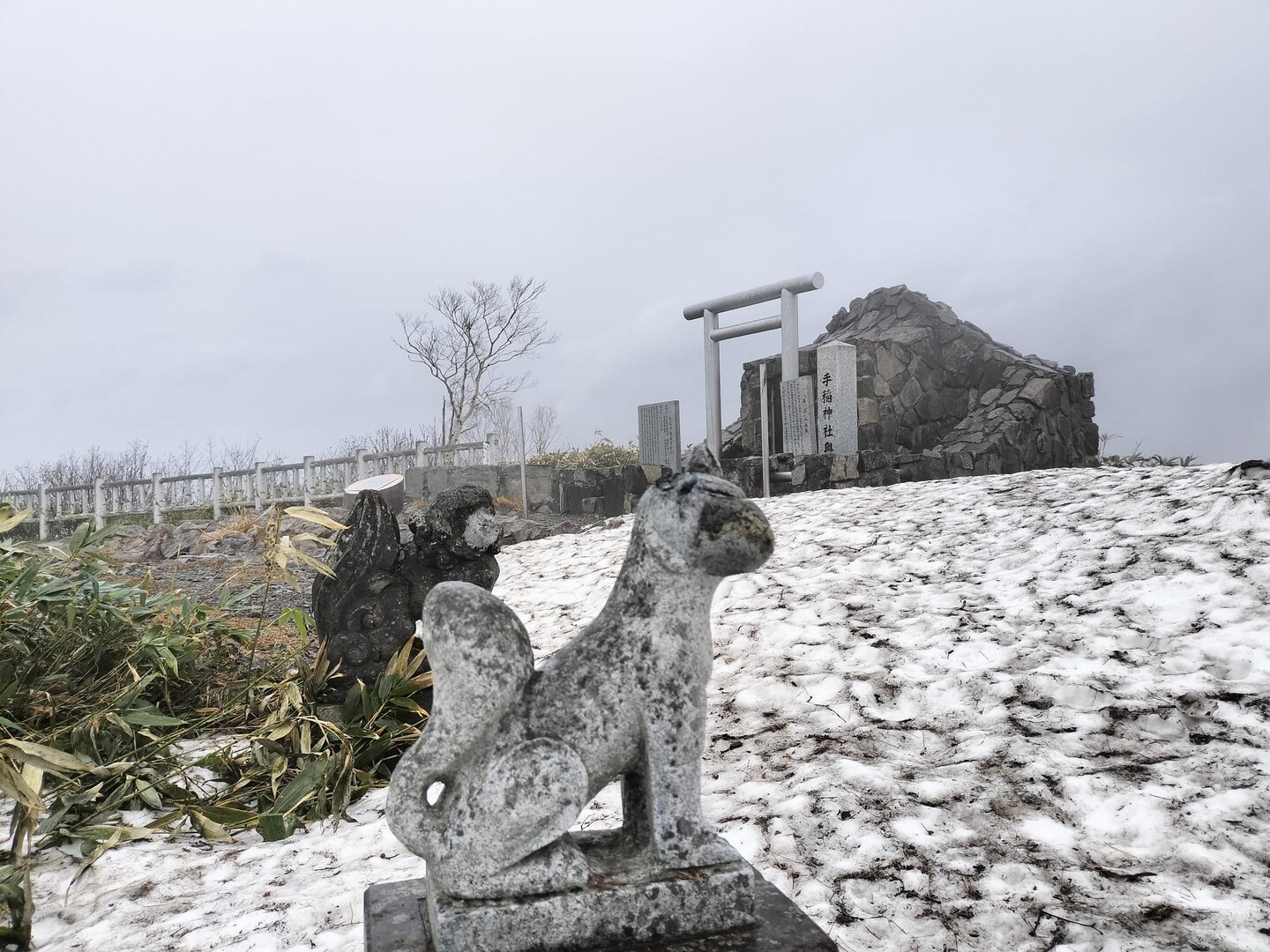 GW最終日に真骨頂！手稲山 / のりすけさんの手稲山・奥手稲山の活動日記 | YAMAP / ヤマップ