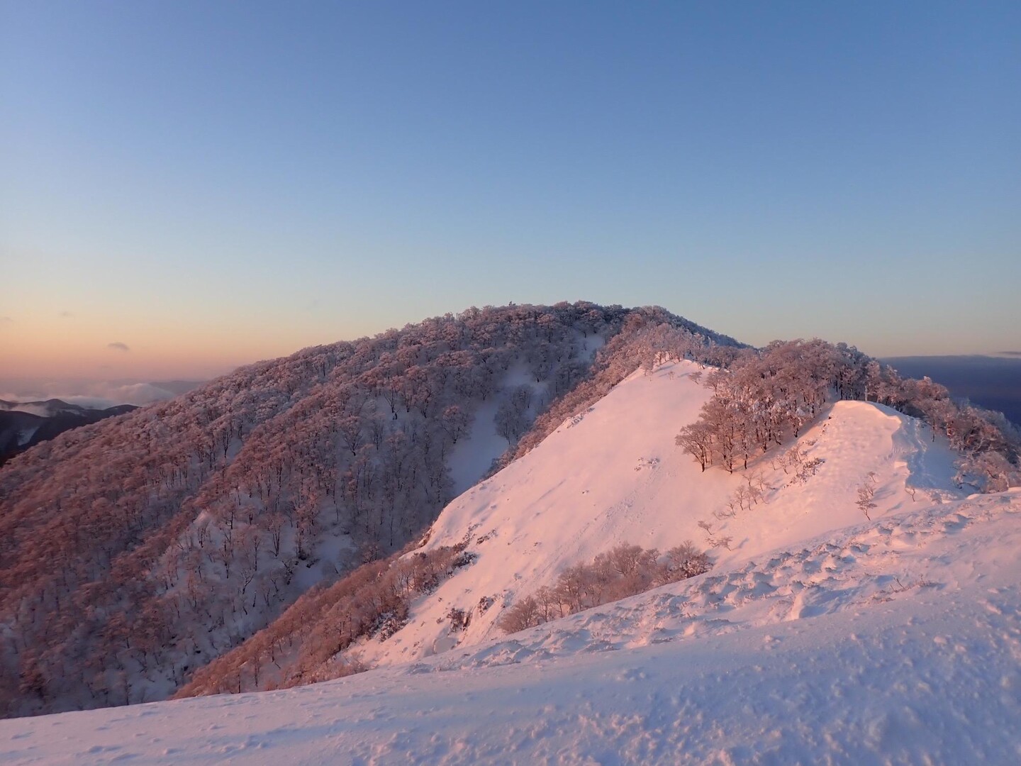 綿向山 / one!one!one!さんの綿向山の活動データ | YAMAP / ヤマップ