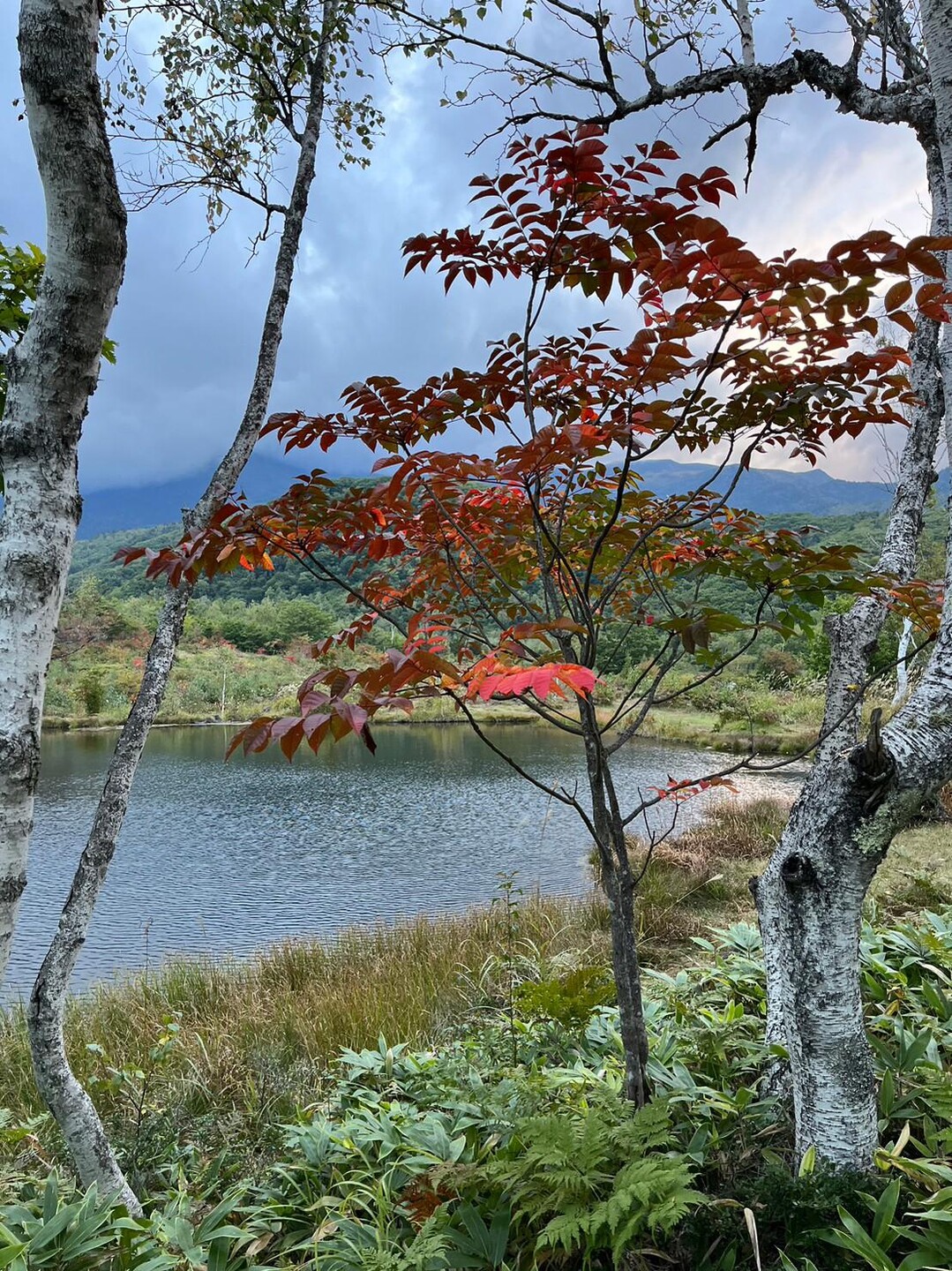 乗鞍高原（善五郎の滝、番所大滝、一の瀬園地） / sensaさんの乗鞍岳の活動データ | YAMAP / ヤマップ