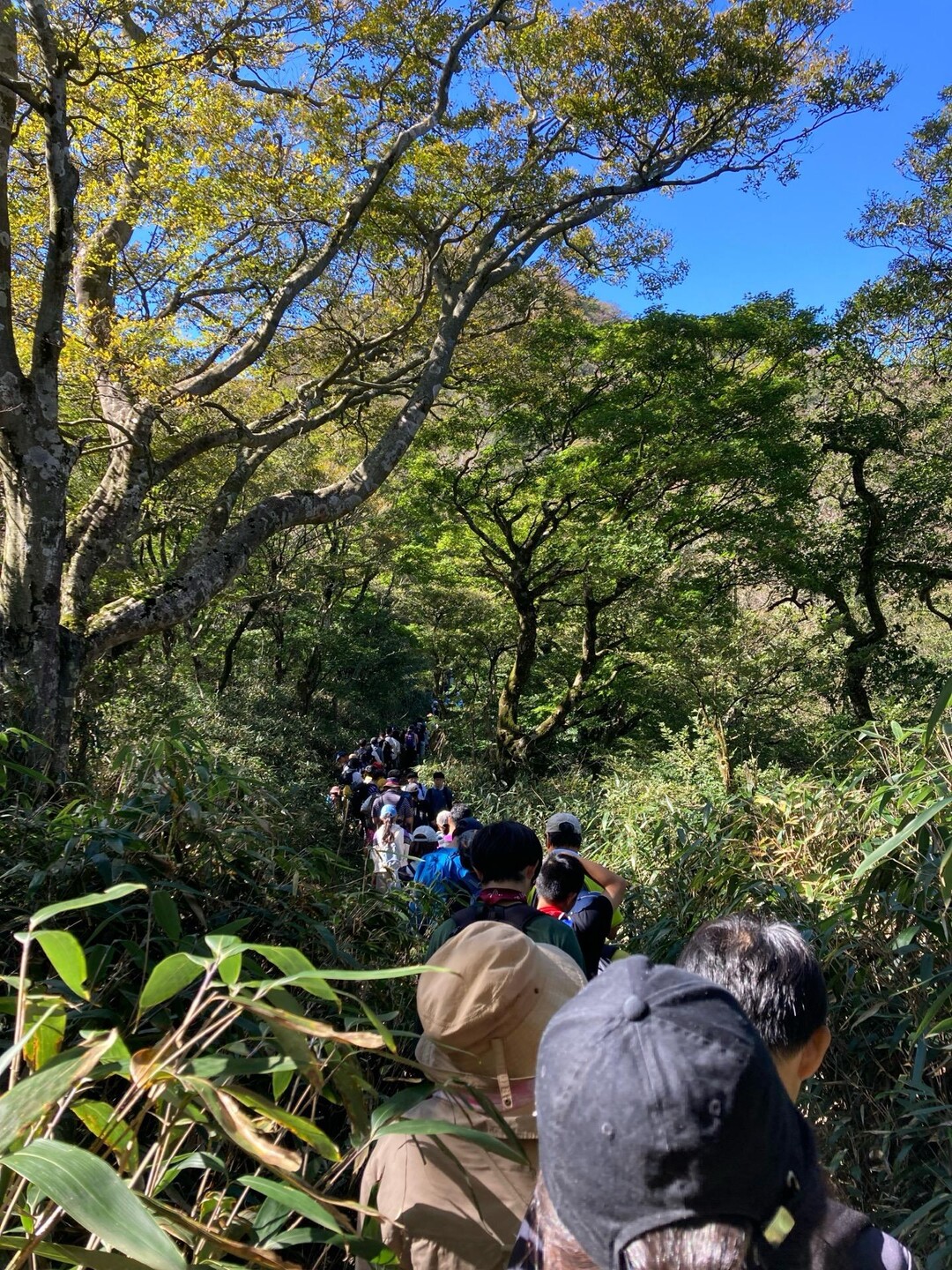 筑波山に導かれし者たち / o-daijinさんの筑波山の活動データ | YAMAP / ヤマップ