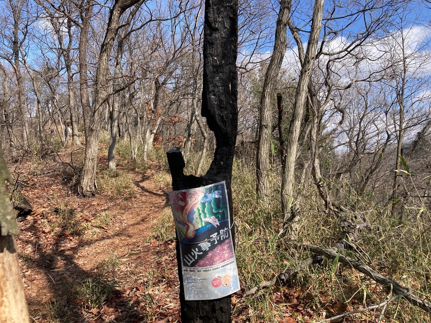 横になります 足利低山21座 / BAYSさんの両崖山・仙人ヶ岳・石尊山の活動データ | YAMAP / ヤマップ