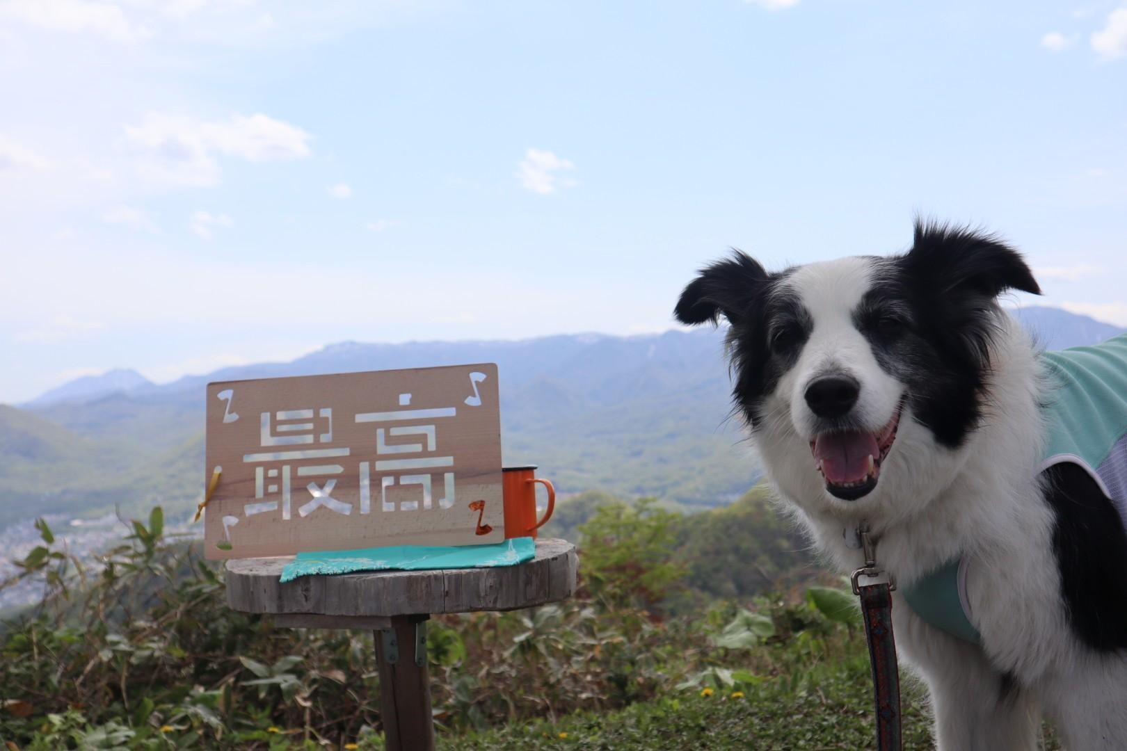 青山カフェ / zero_bcさんの砥石山・青山の活動データ | YAMAP / ヤマップ
