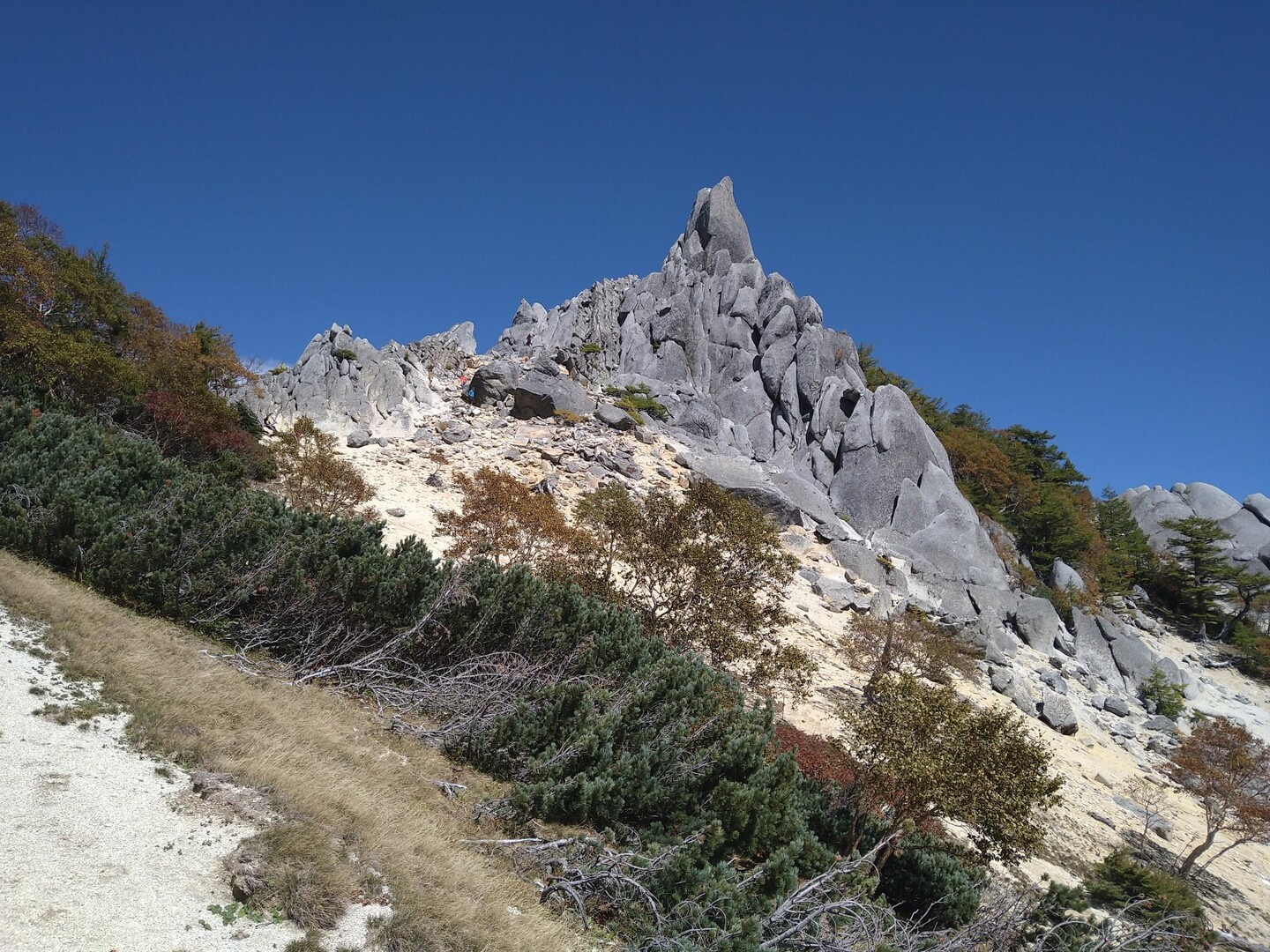 鳳凰三山 周回の旅 / lightさんの鳳凰山・地蔵岳・観音岳・薬師岳の活動データ | YAMAP / ヤマップ