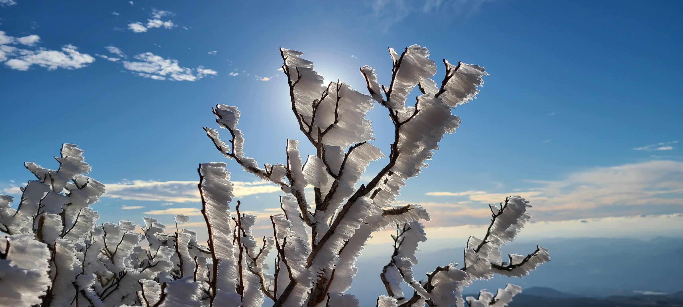 韓国岳（霧島山） / トモリンZさんの霧島山・韓国岳・高千穂峰・夷守岳・烏帽子岳の活動日記 | YAMAP / ヤマップ