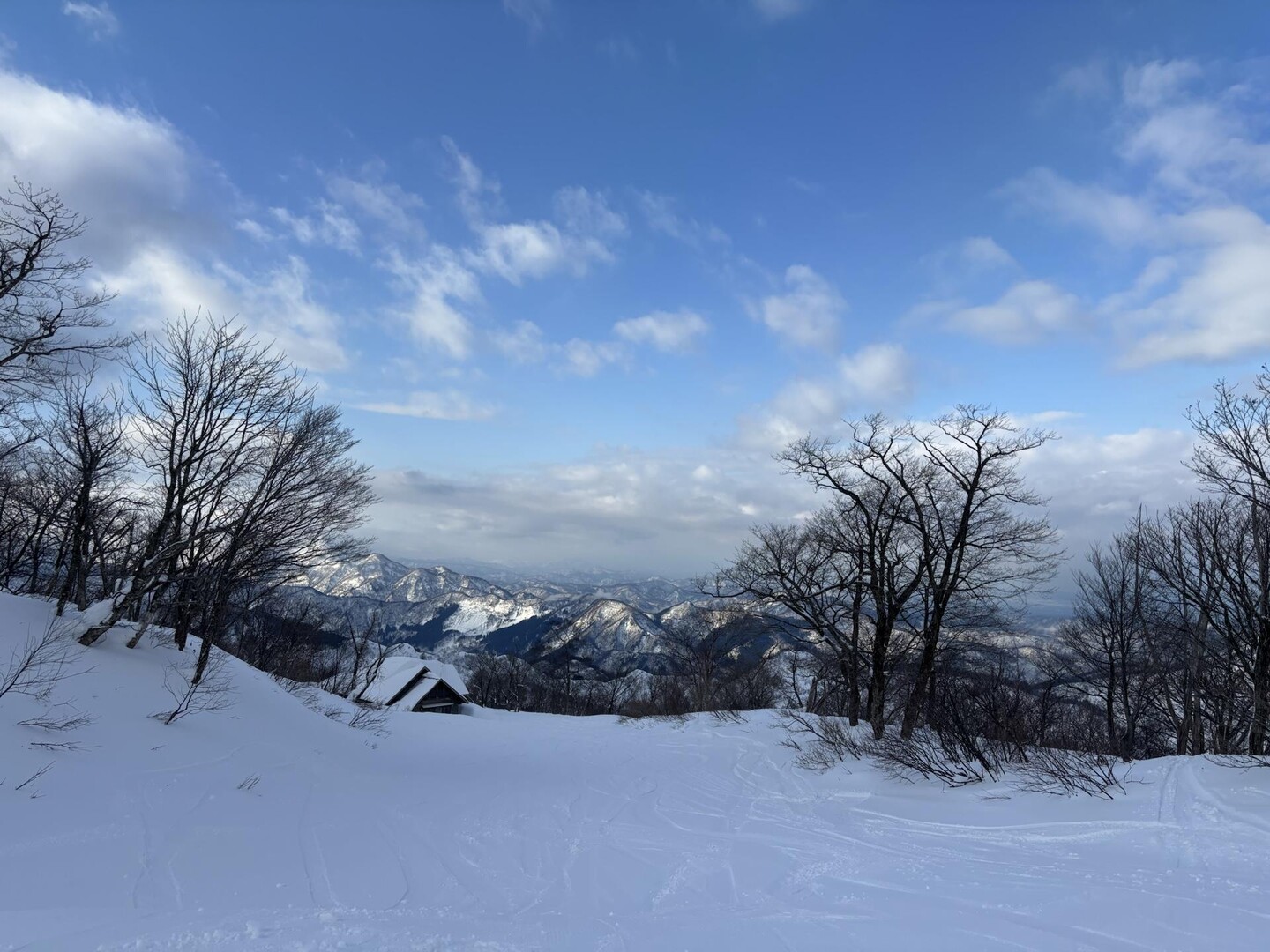 セイモアスキー場 DAYS6 / NOBさんの奥獅子吼山・口三方岳・烏帽子山の活動データ | YAMAP / ヤマップ