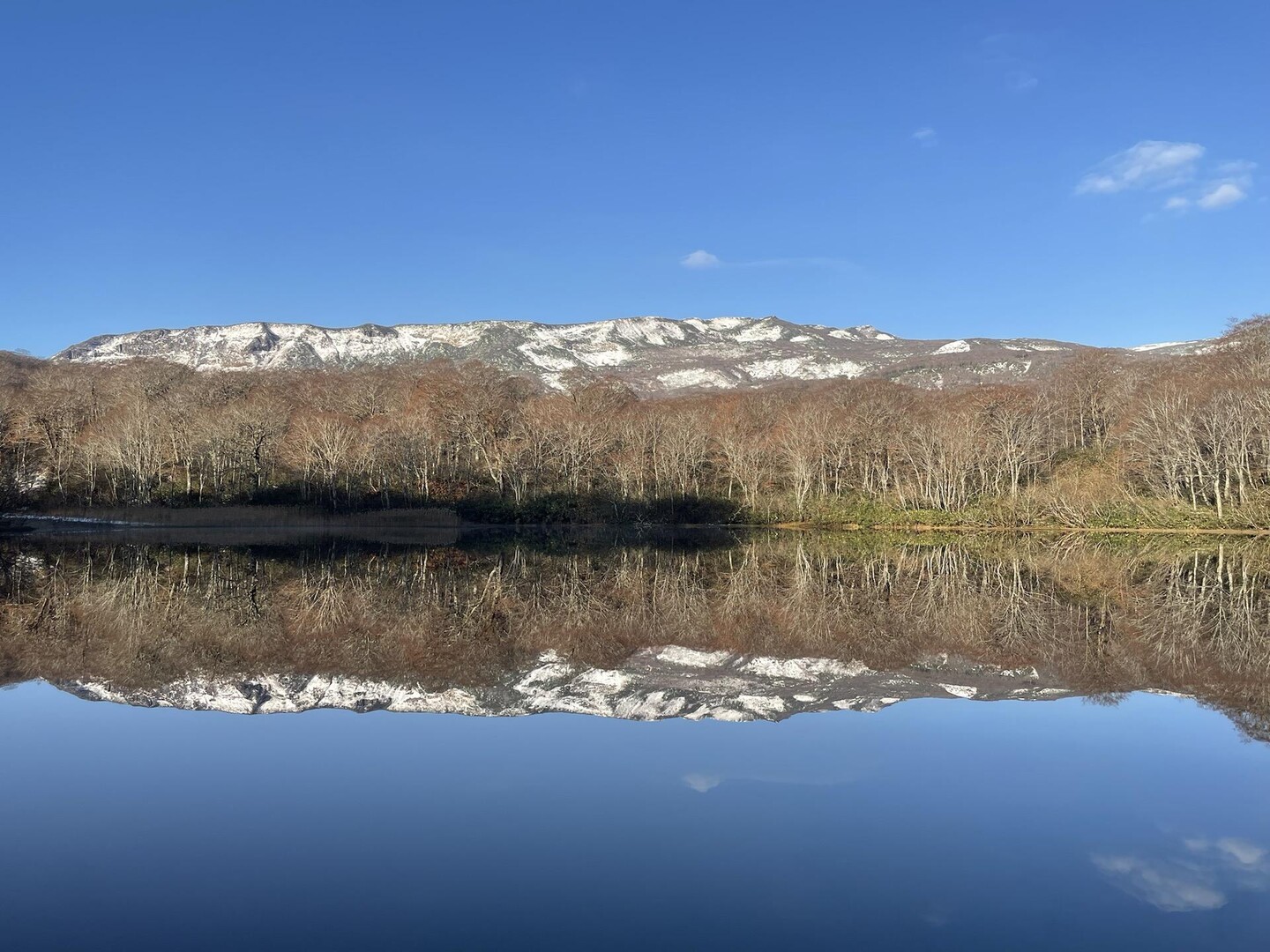 R6.11.10 焼石岳〜ほぼ雪山〜 / ハルキさんの焼石岳・兎森山・鷲ヶ森山の活動データ | YAMAP / ヤマップ