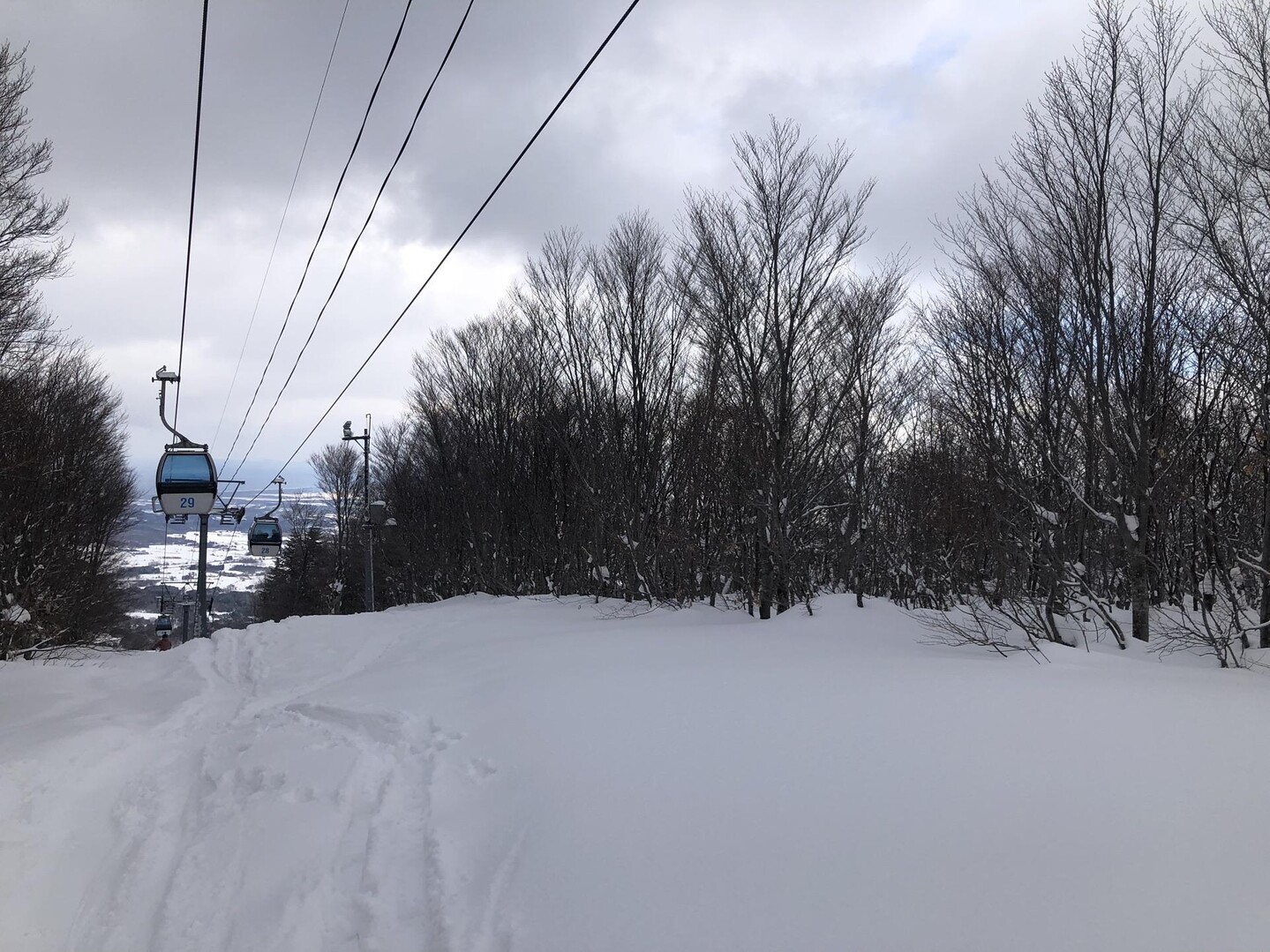 鍋森山（青森スプリングスキーリゾート） / snow@ystさんの岩木山（岩鬼山）・鳥海山・鍋森山の活動データ | YAMAP / ヤマップ