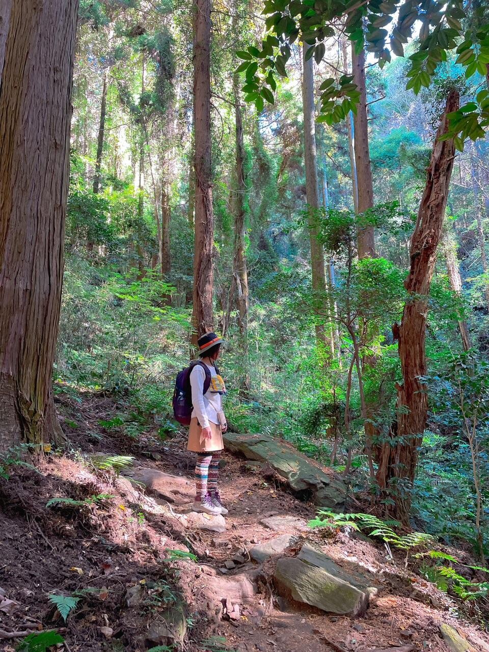 miyuのページ | YAMAP / ヤマップ