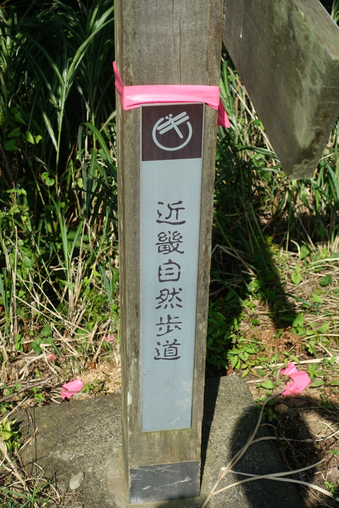 近畿自然歩道😀 カニ、カニ😍 / レパさん さんのモーメント | YAMAP / ヤマップ