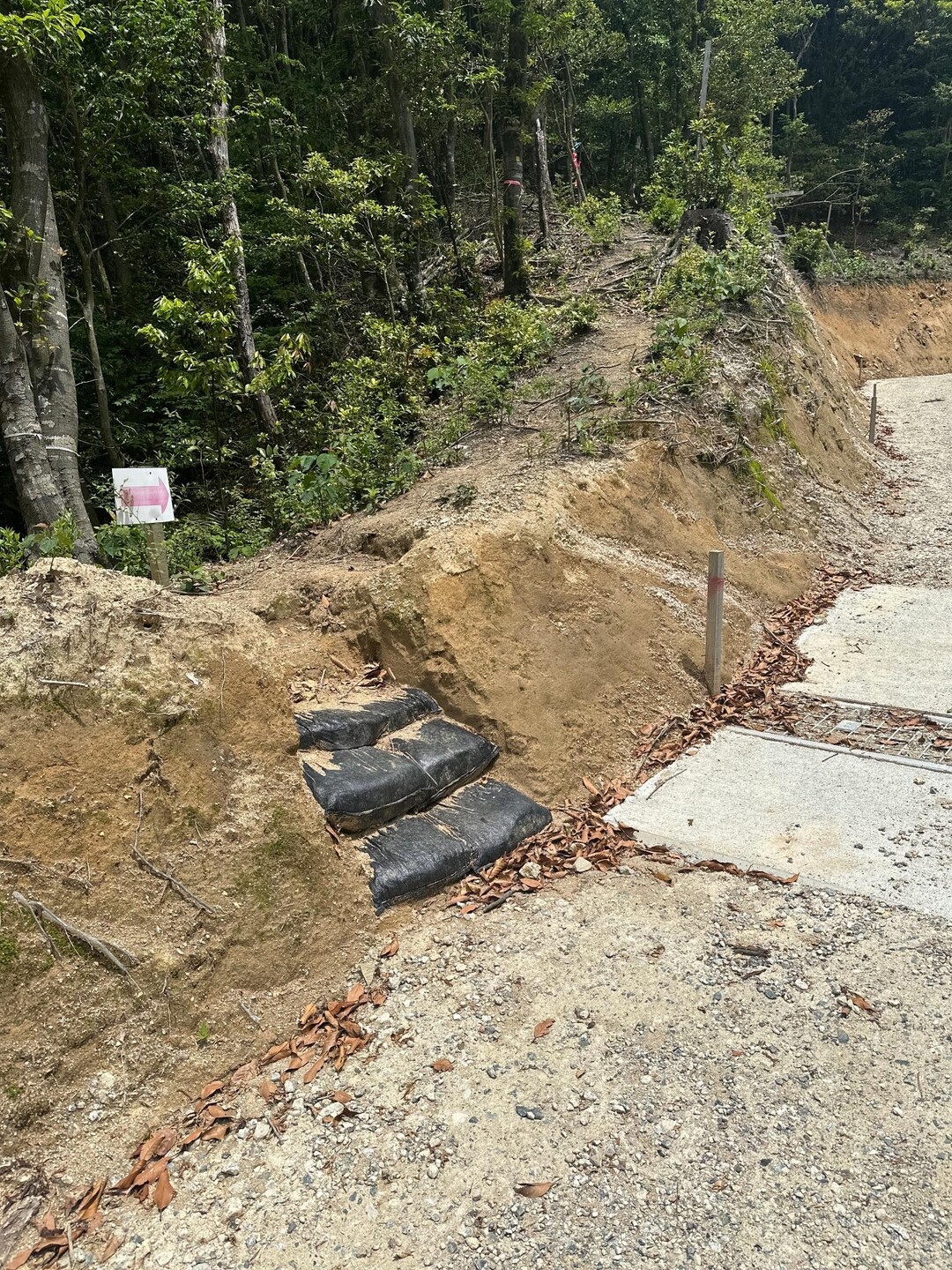 shoさんの投稿したフィールドメモ | YAMAP / ヤマップ