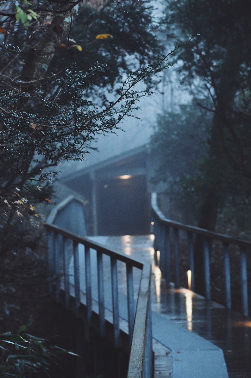 おはようございます am6:30のホテ... / miiさんのモーメント | YAMAP / ヤマップ