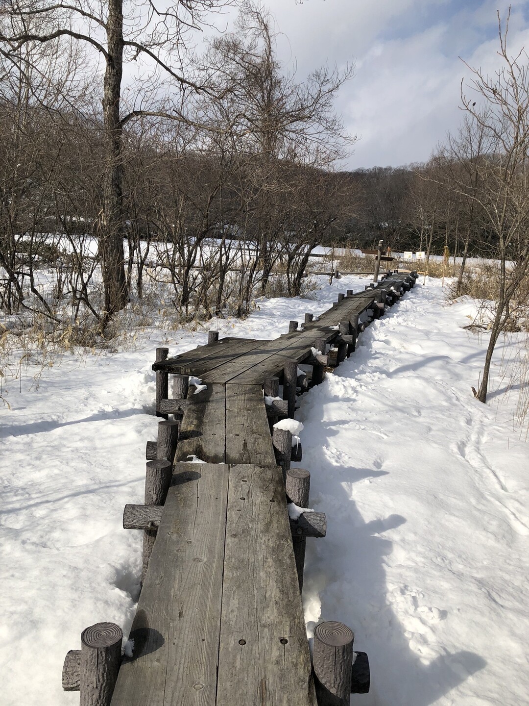 ウォーキング-2022-01-29② / booさんのウォーキングの活動データ | YAMAP / ヤマップ