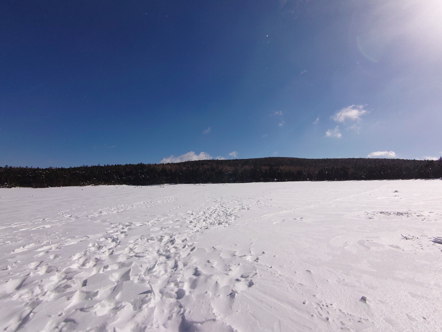 雨池横断 / TUさんの蓼科山・横岳・縞枯山の活動データ | YAMAP / ヤマップ