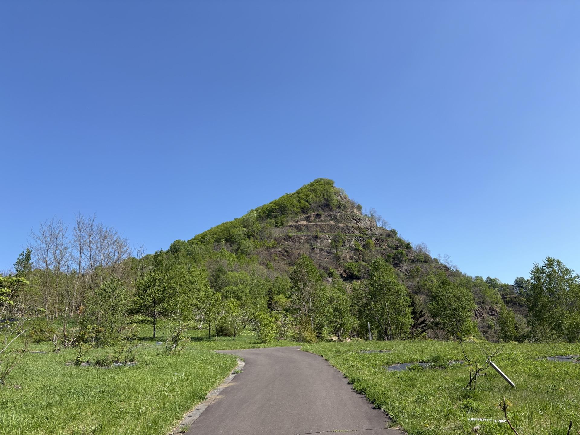 五天山 晴天の五天山🌸満開 / junjunさんの砥石山・青山の活動データ | YAMAP / ヤマップ