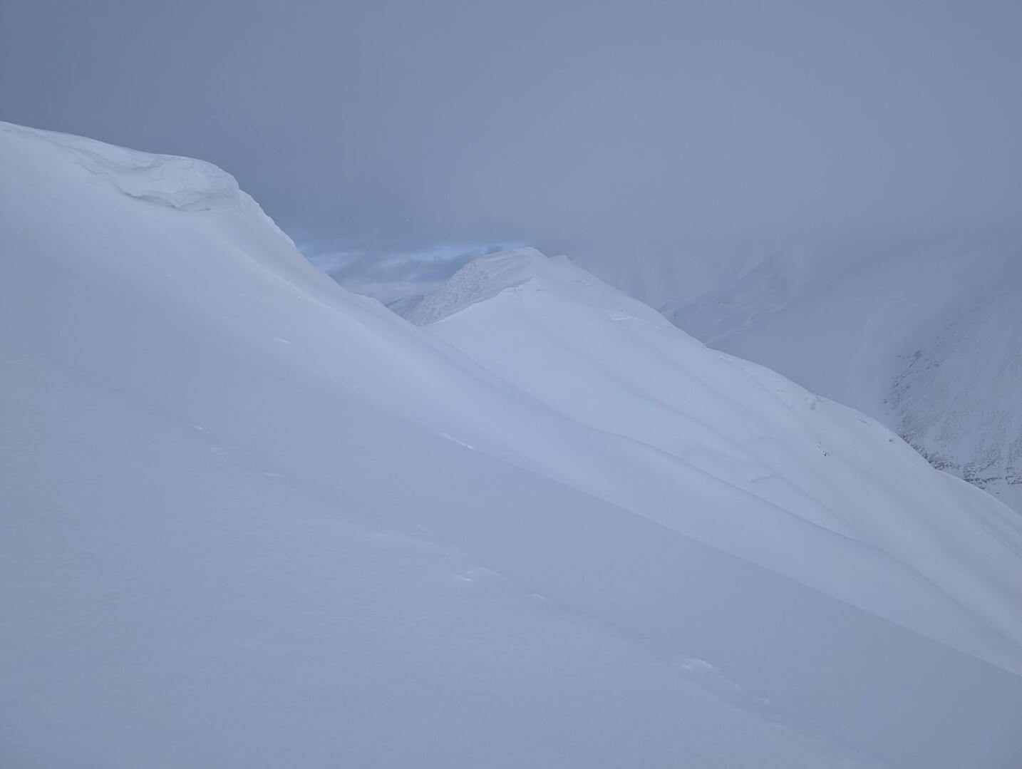 湯殿山BC / haru.isoさんの月山の活動データ | YAMAP / ヤマップ