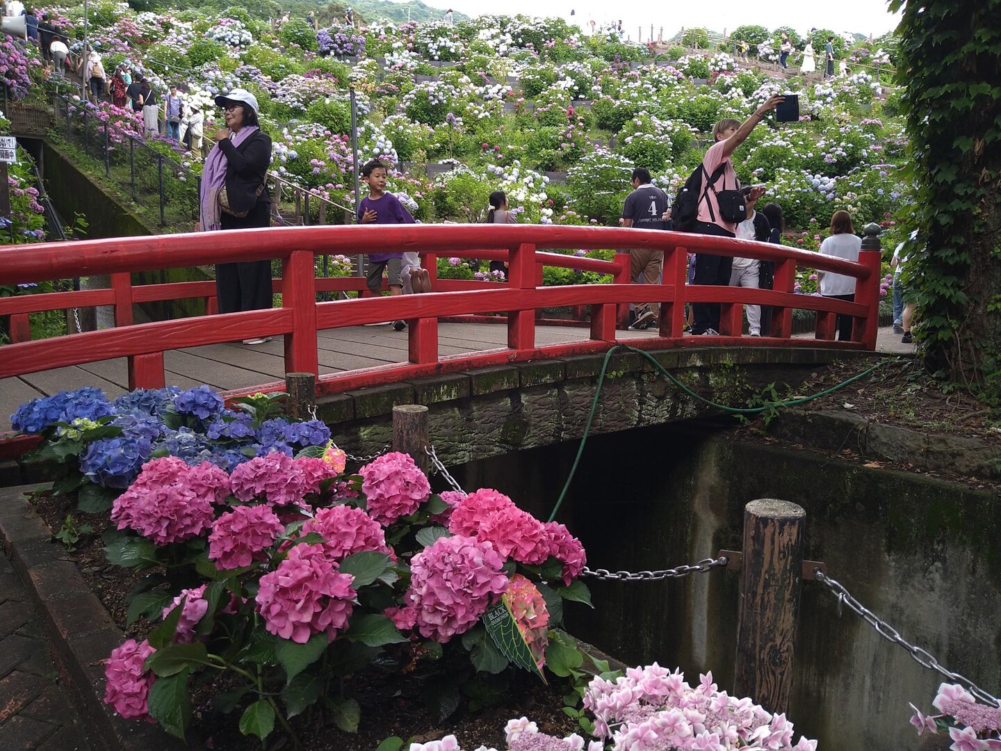 梅雨の時期が近づいてきましたね。 / lightさんのモーメント | YAMAP / ヤマップ