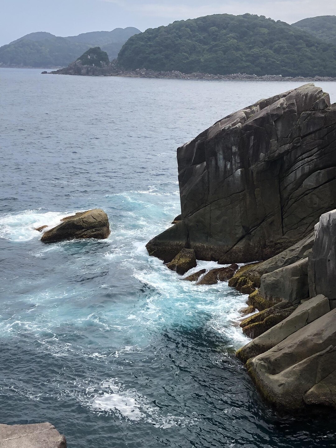 頂山 / umi chanさんの八鬼山・頂山・オハイの活動データ | YAMAP / ヤマップ