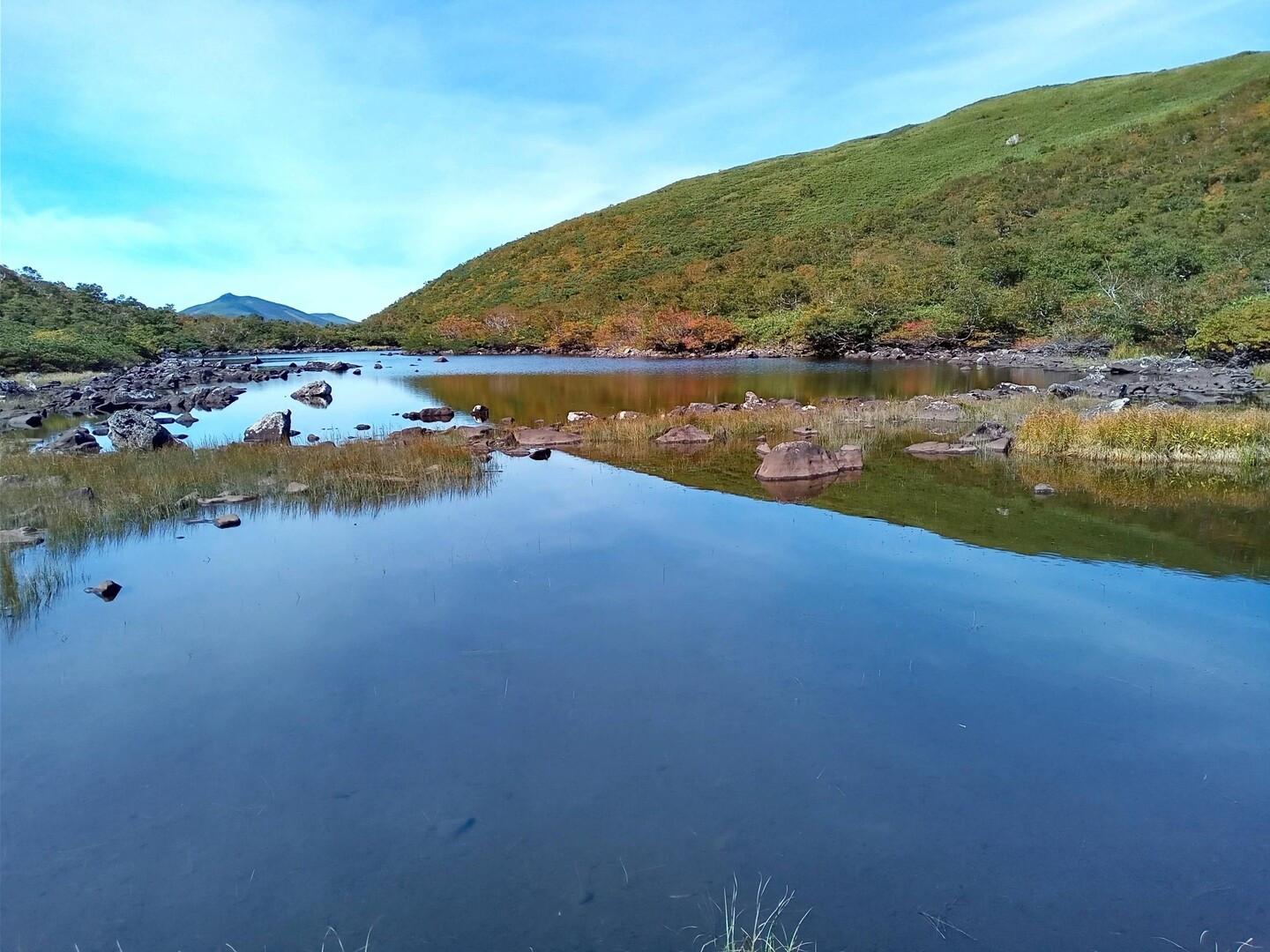 チセヌプリ・白樺山 / kuri panさんのニセコアンヌプリ・イワオヌプリ・チセヌプリの活動日記 | YAMAP / ヤマップ
