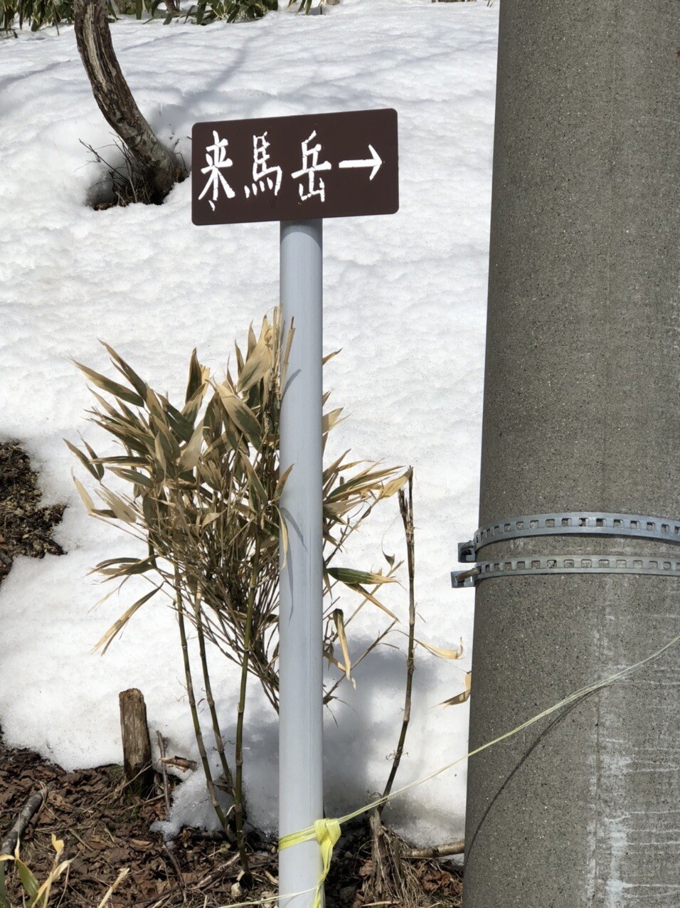 サンライバーラスト ️-2021-03-20 / booさんのオロフレ山・来馬岳の活動日記 | YAMAP / ヤマップ