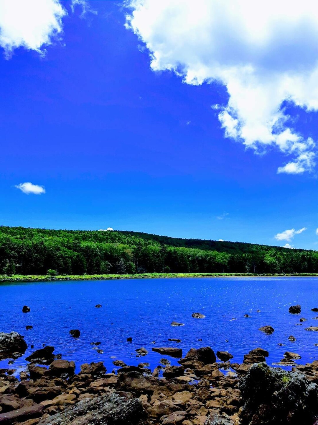 八ヶ岳 八柱山(やばしらやま) / Heroさんの蓼科山・横岳・縞枯山の活動データ | YAMAP / ヤマップ