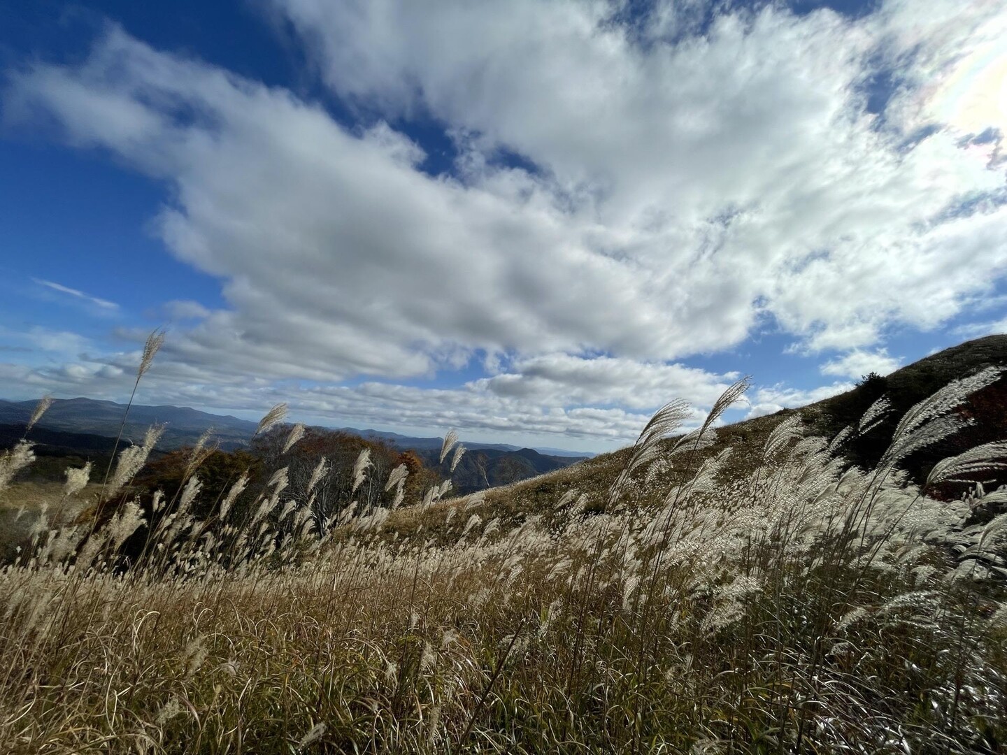 深入山 / yosiさんの深入山の活動データ | YAMAP / ヤマップ