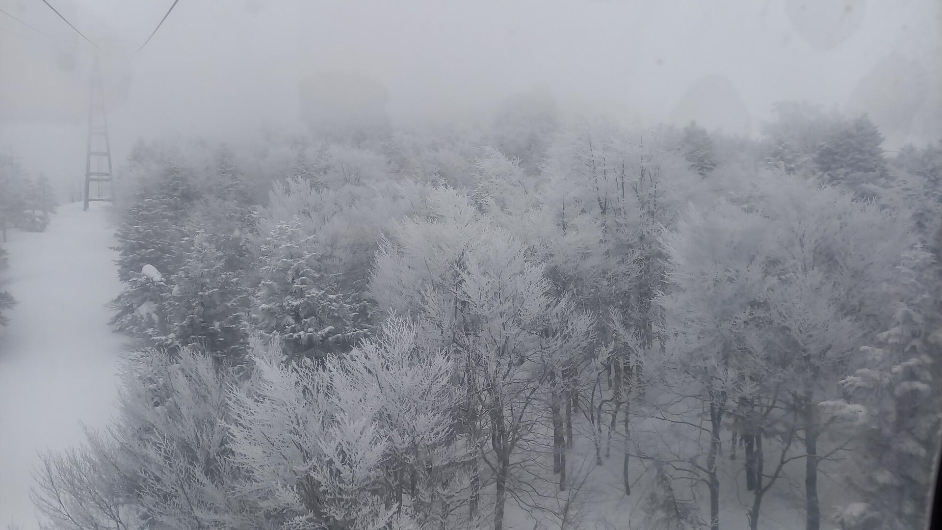 SKI#10山形蔵王温泉スキー場 / ソロ山さんのスキーの活動データ | YAMAP / ヤマップ