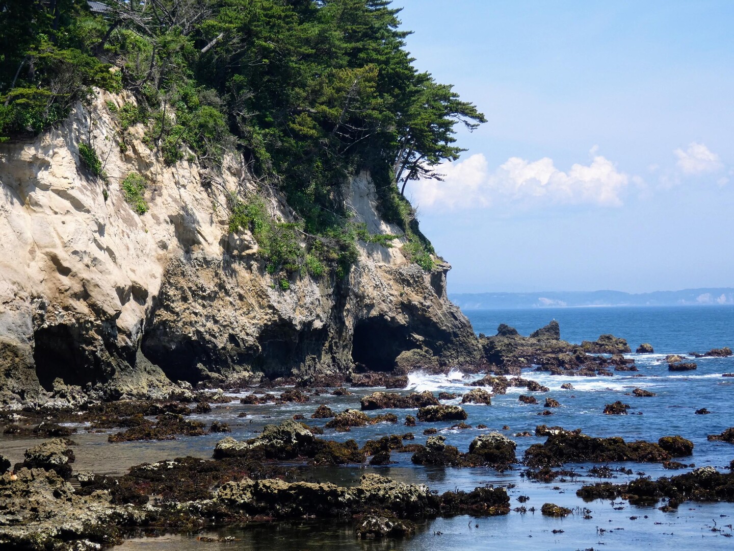 六角堂•ぁぶくま洞-2023-08-02 / 🎶G-DRAGON🎶さんのウォーキングの活動データ | YAMAP / ヤマップ