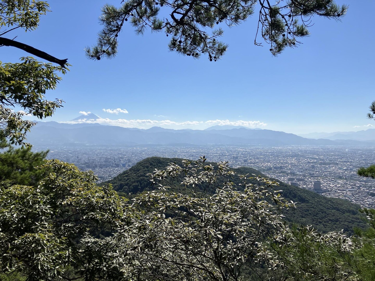八王子山（白山） / ELLYさんの興因寺山・淡雪山・八王子山の活動データ | YAMAP / ヤマップ