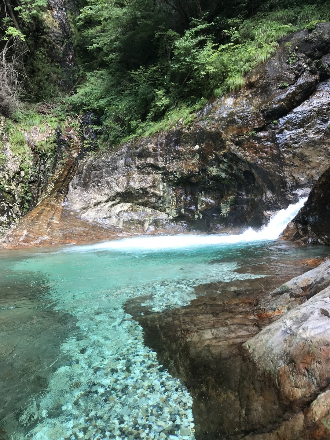 前鬼川 沢登り-2022-08-24 / magukoさんの釈迦ヶ岳・大日岳・涅槃岳の活動データ | YAMAP / ヤマップ