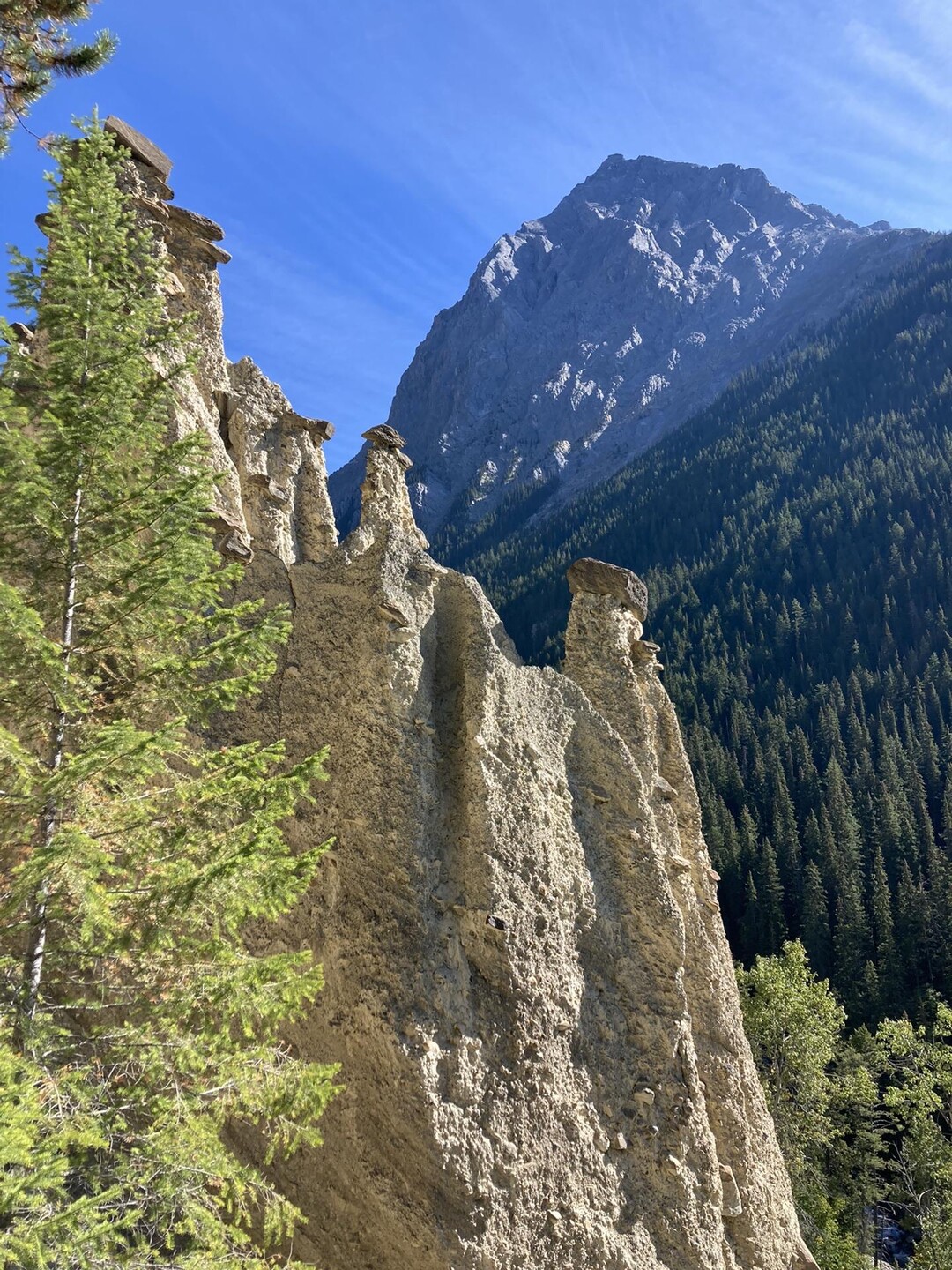 Hoodoo Trail ホードートレイル-2022-09-26 / hamさんのヨーホー国立公園の活動データ | YAMAP / ヤマップ